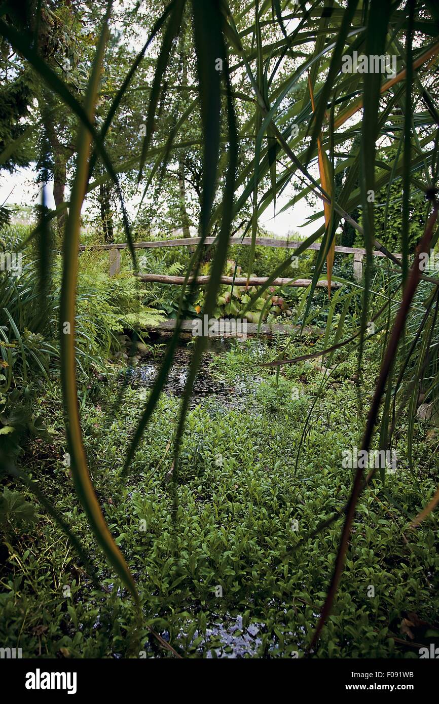 Small bridge in garden hi-res stock photography and images - Alamy