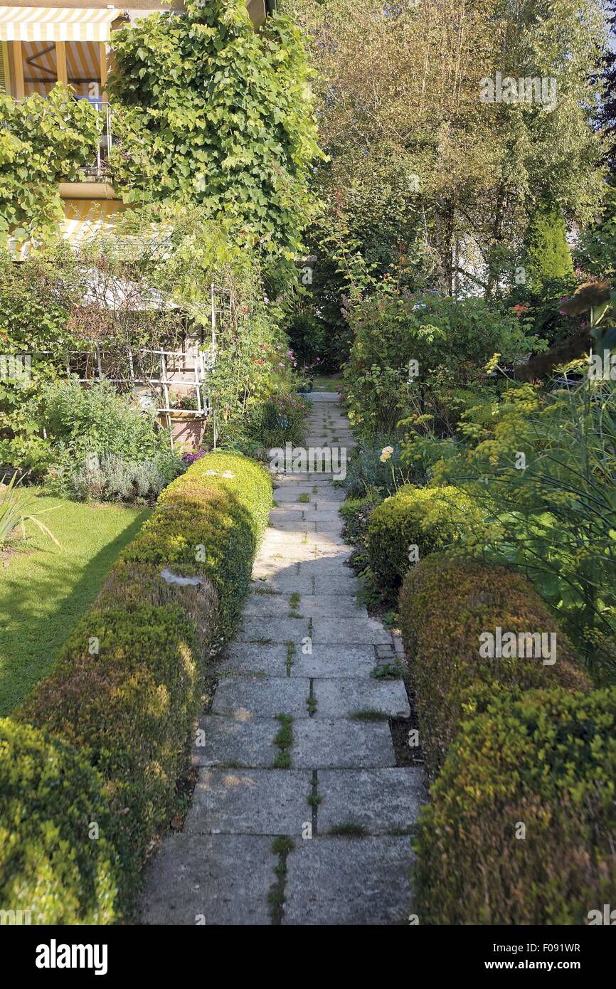 View of garden path with trees in garden Stock Photo - Alamy