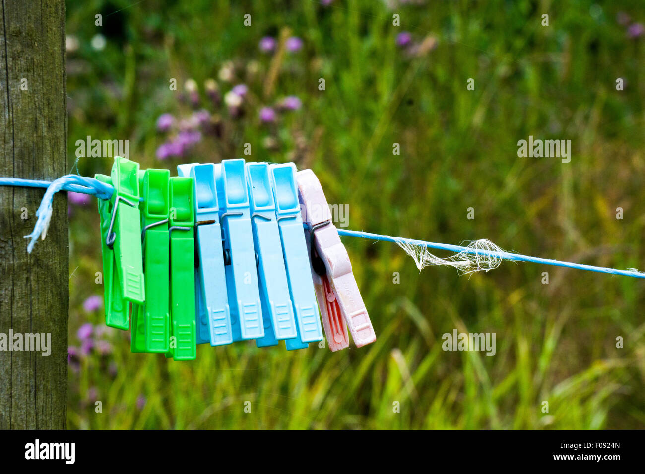 clothespin, summer, dry, garden, rope, string Stock Photo - Alamy