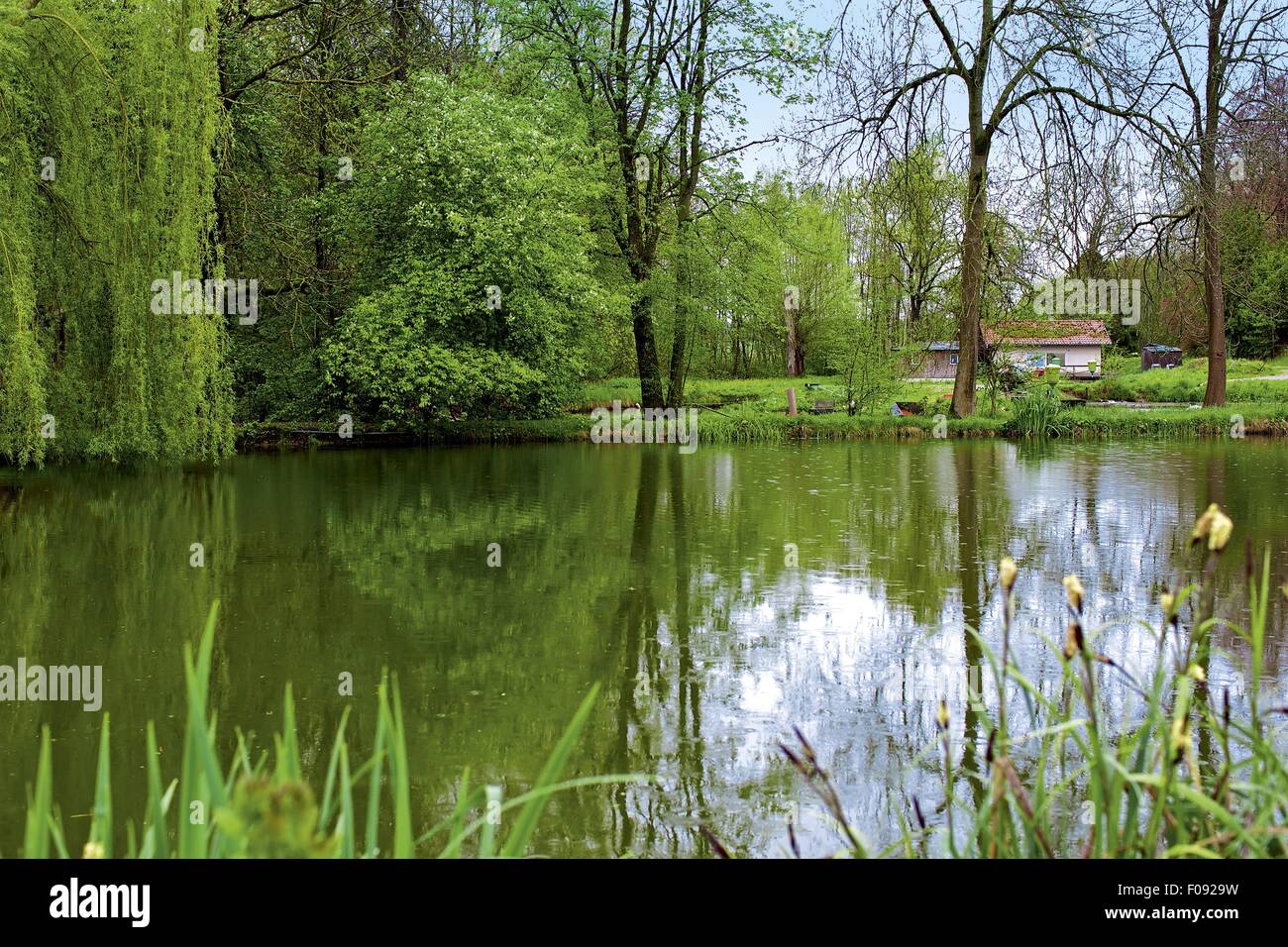 Family fish farming lake in Birnbaum, Upper Bavaria Stock Photo - Alamy