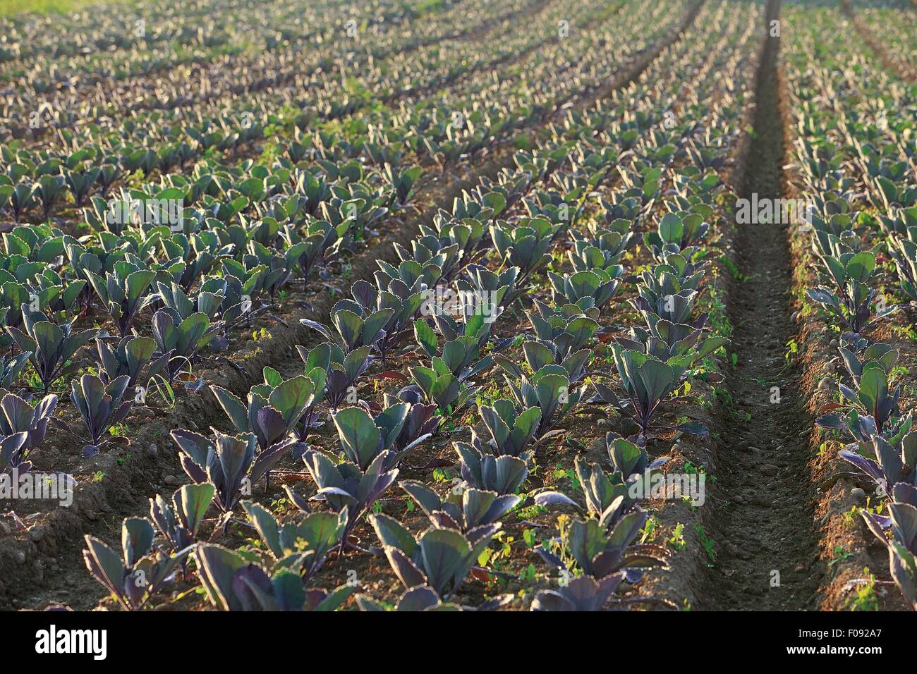 Glonn, germany hi-res stock photography and images - Alamy