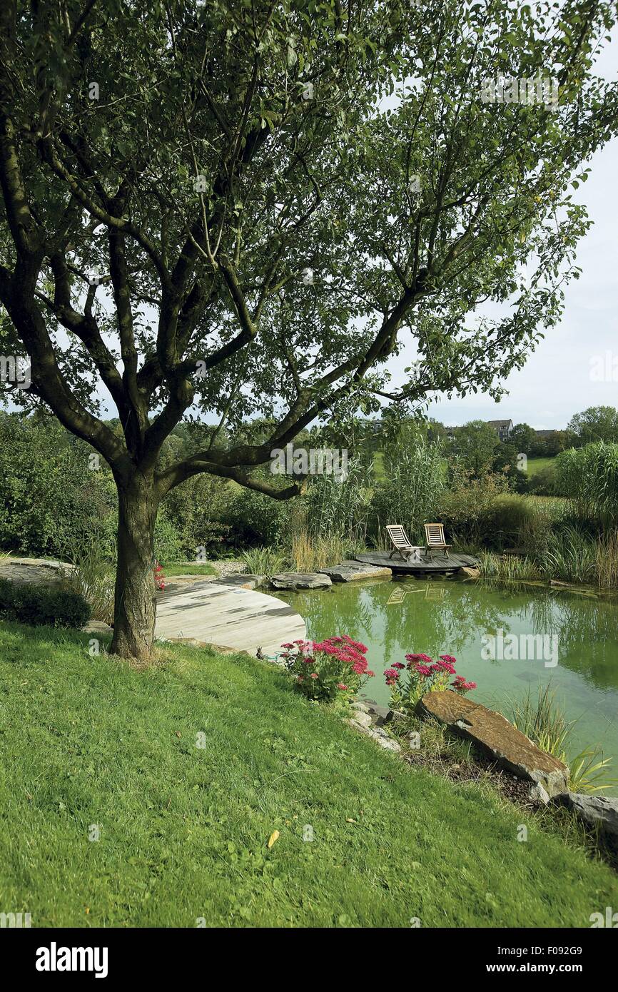 Garden pond with bench Stock Photo - Alamy