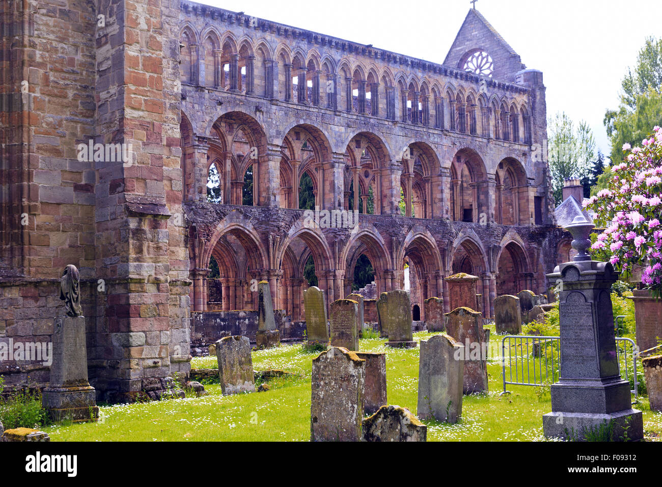 Jedburgh Abbey Ruins, Scotland Stock Photo - Alamy