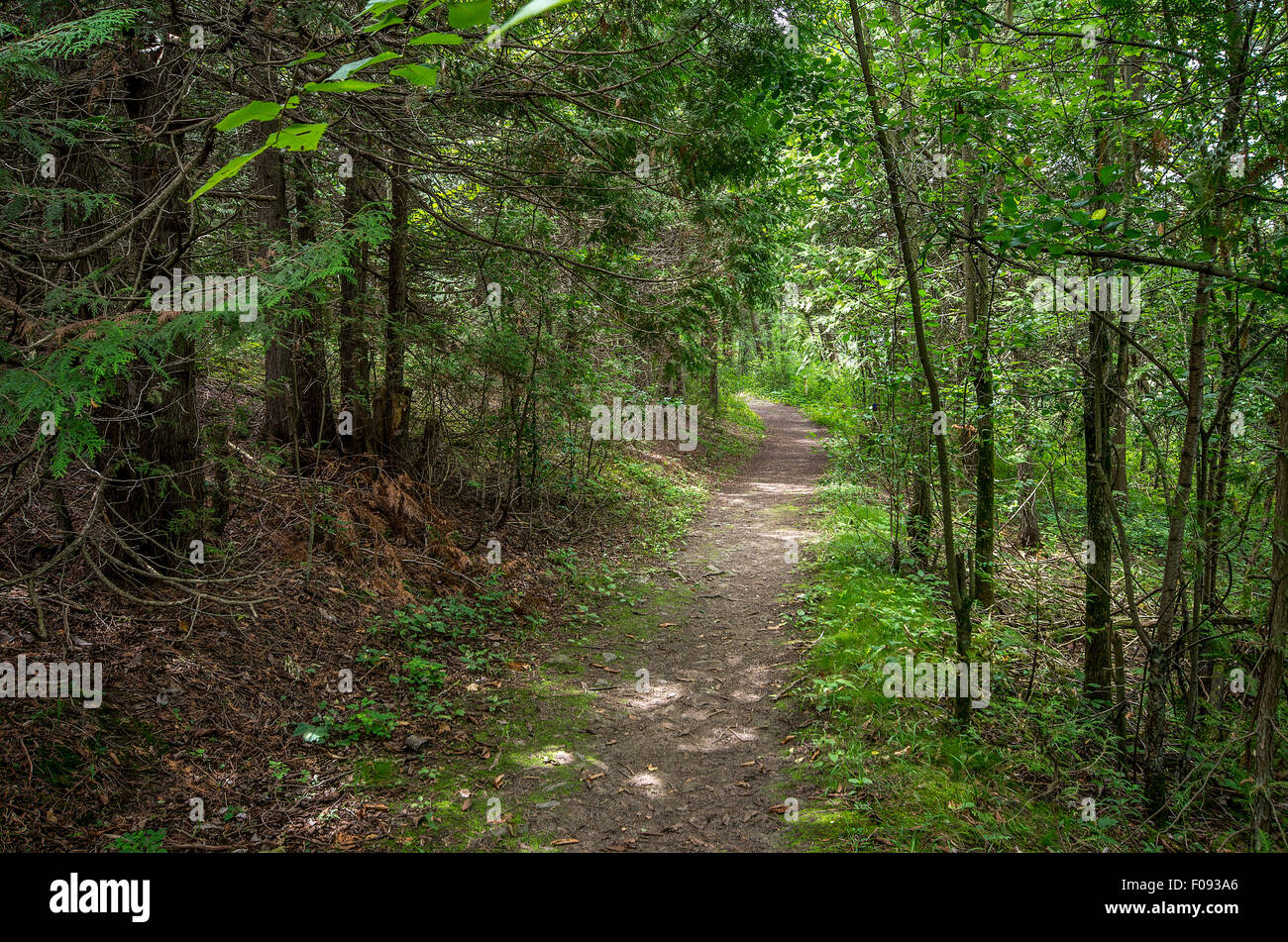 Point Au Roche State Park Stock Photo - Alamy
