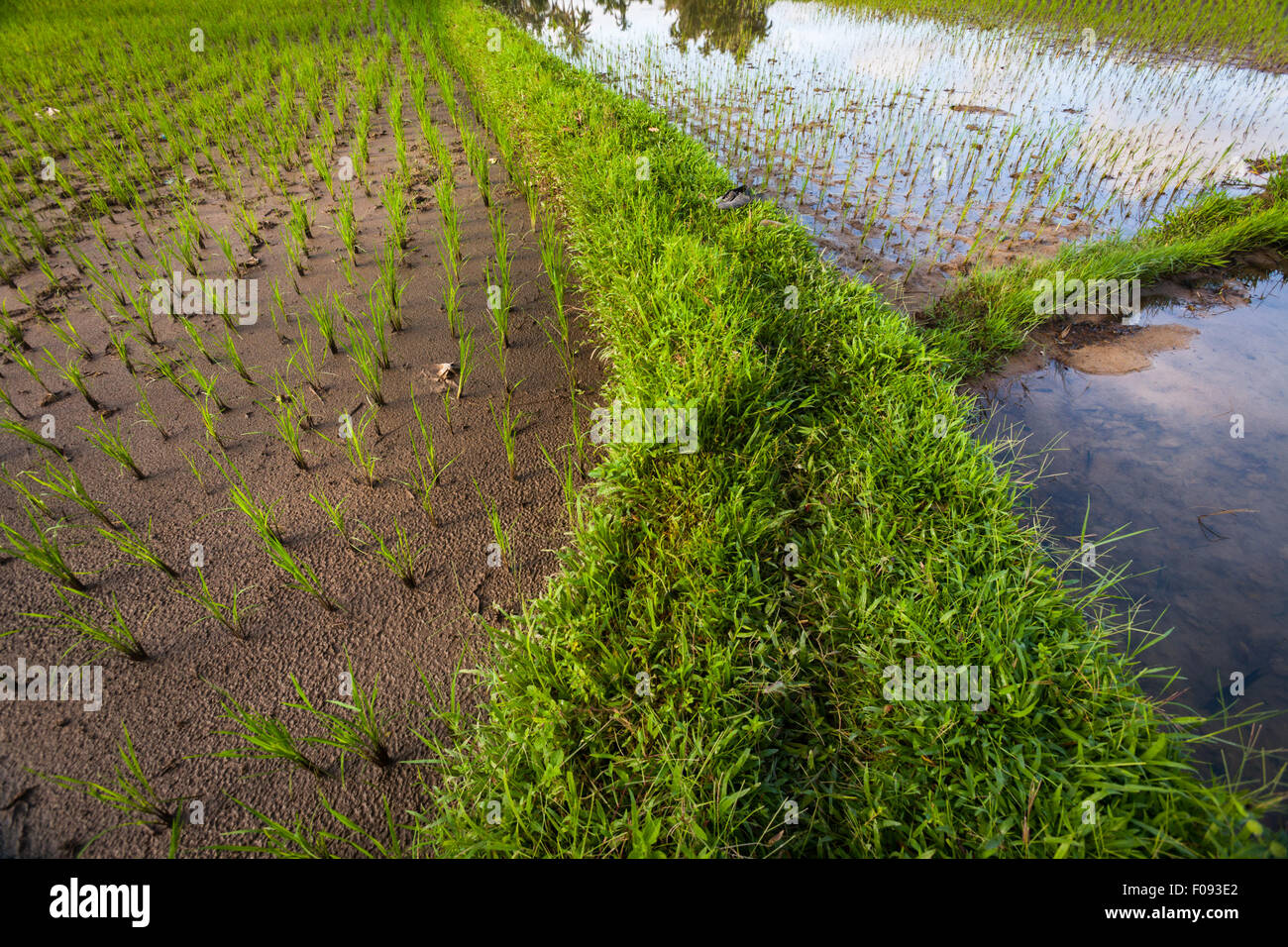 The mound causeway hi-res stock photography and images - Alamy