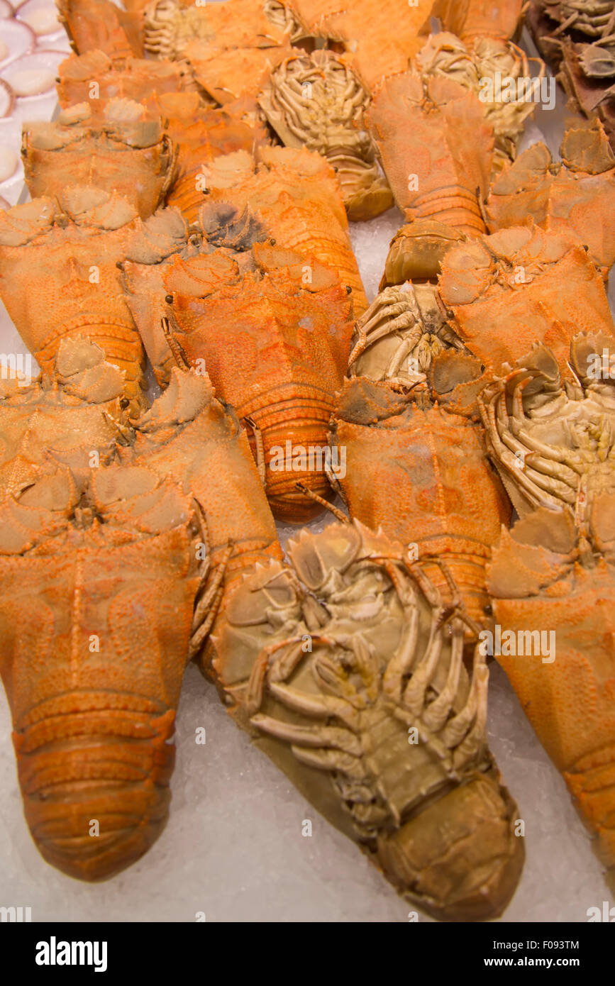 Balmain bugs at Sydney fish market Stock Photo - Alamy