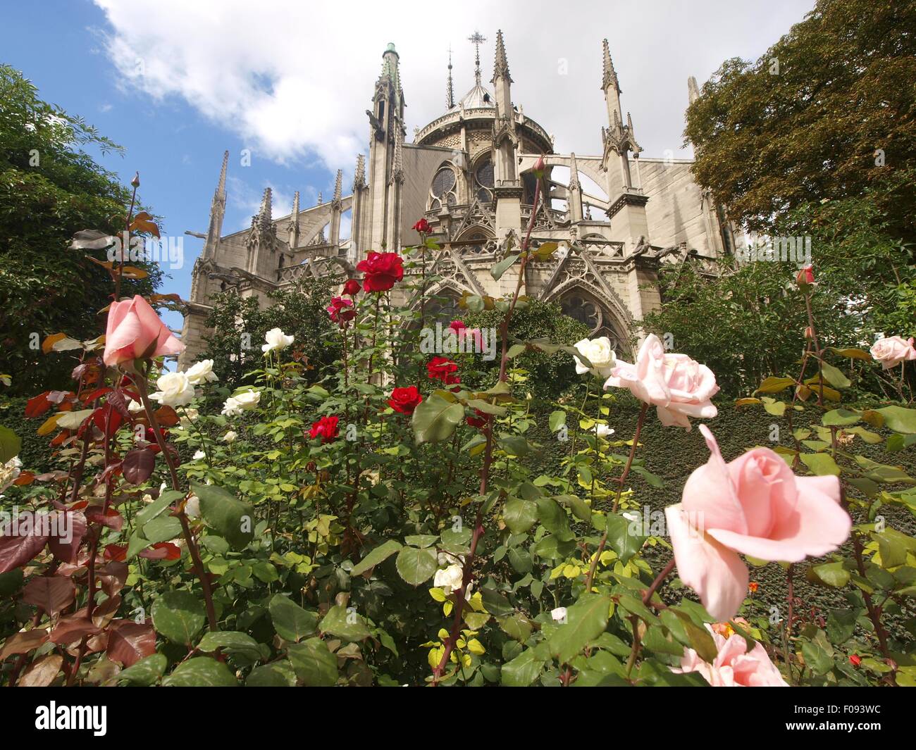 View of Notre-Dame Cathedral and garden in Paris, France Stock Photo ...
