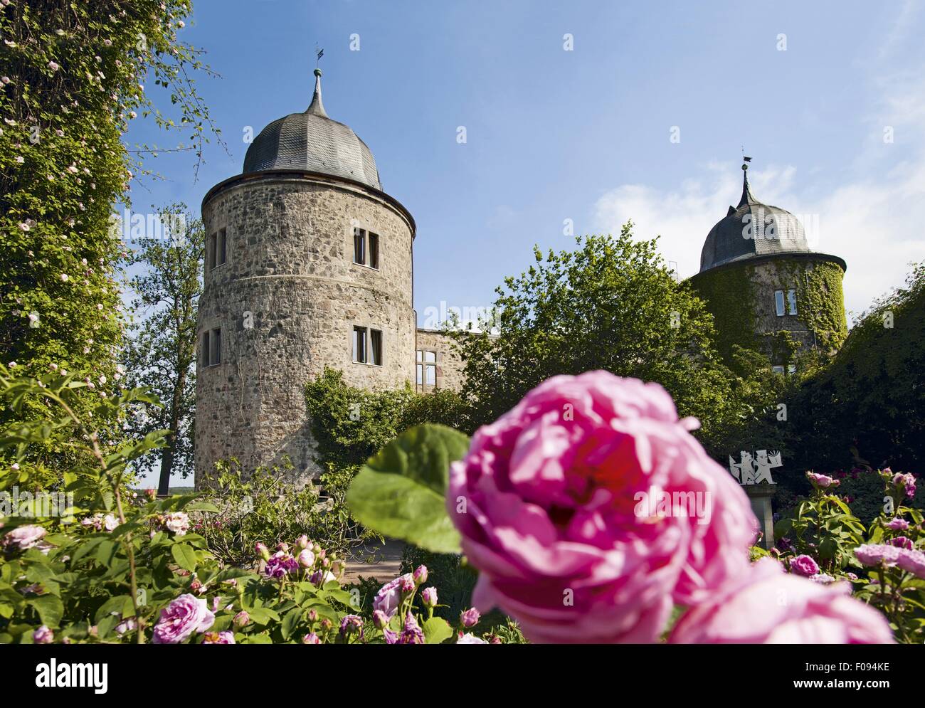 View of Hotel Dornroschenschloss Sababurg and Reinhard Forest, North ...