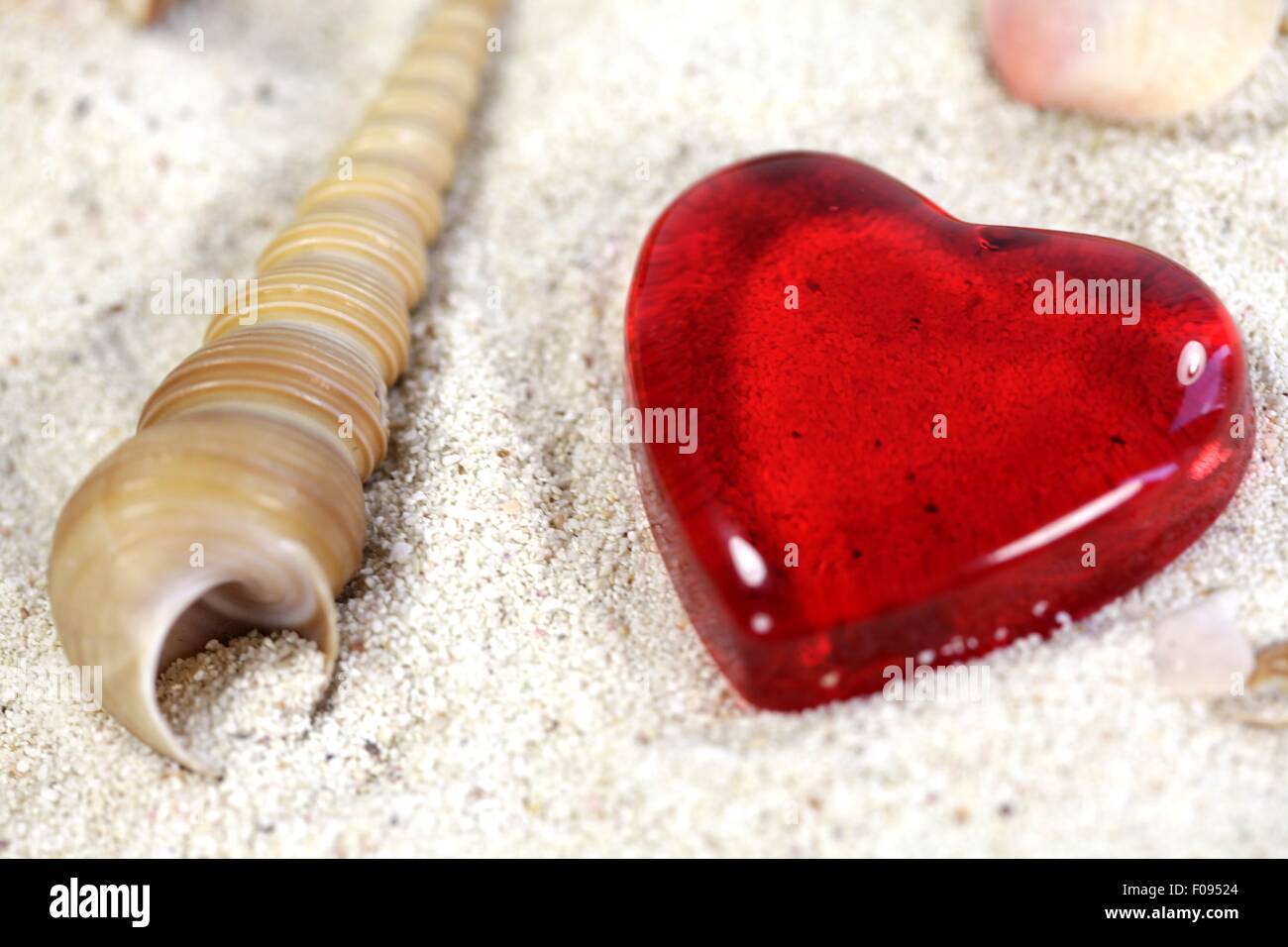 Close-up of sea shell and red heart on sand Stock Photo - Alamy
