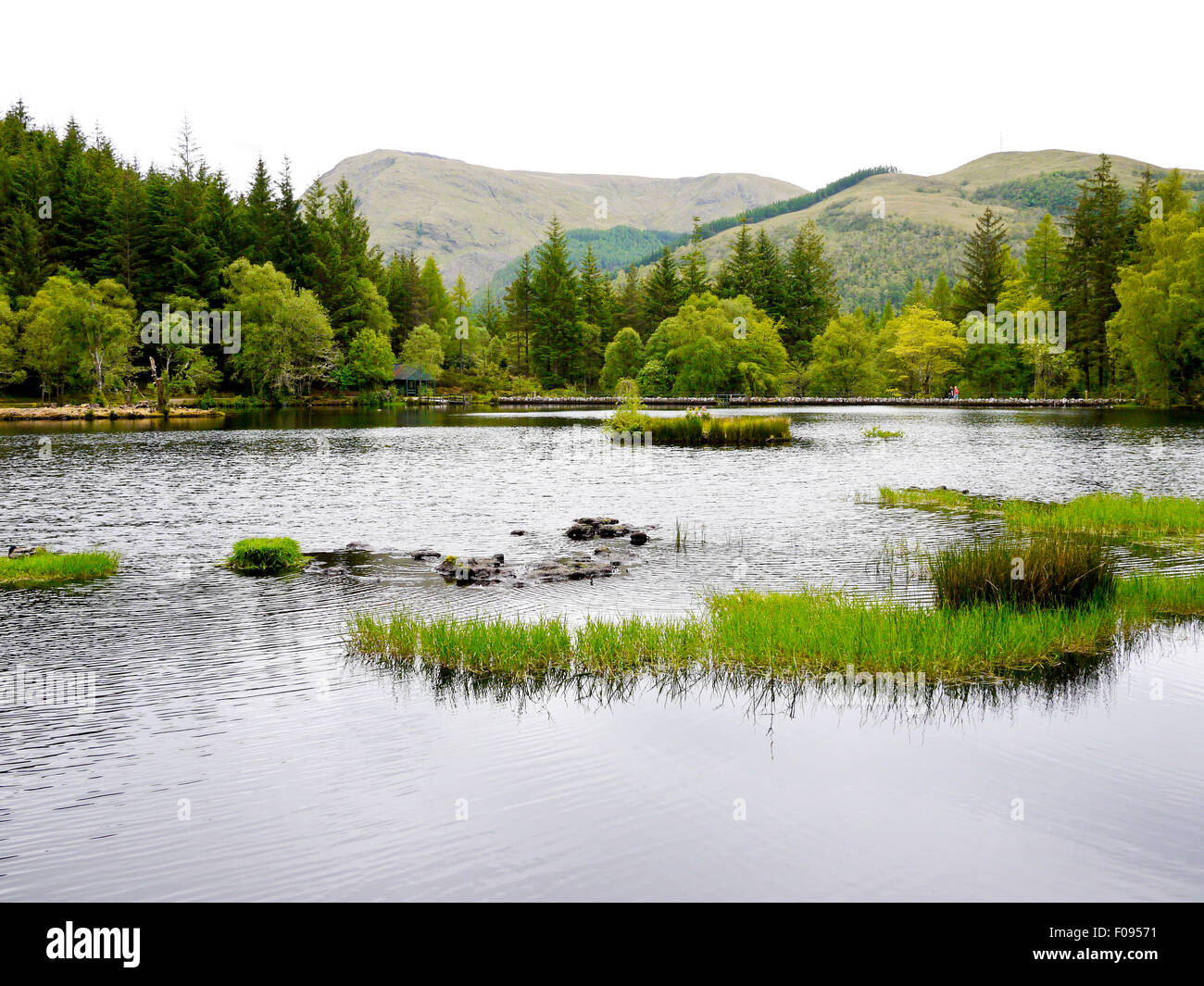 Glencoe lochan woods hi-res stock photography and images - Alamy