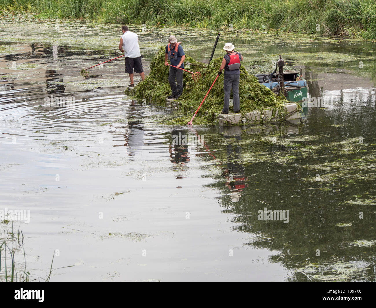 River clearing hi-res stock photography and images - Alamy