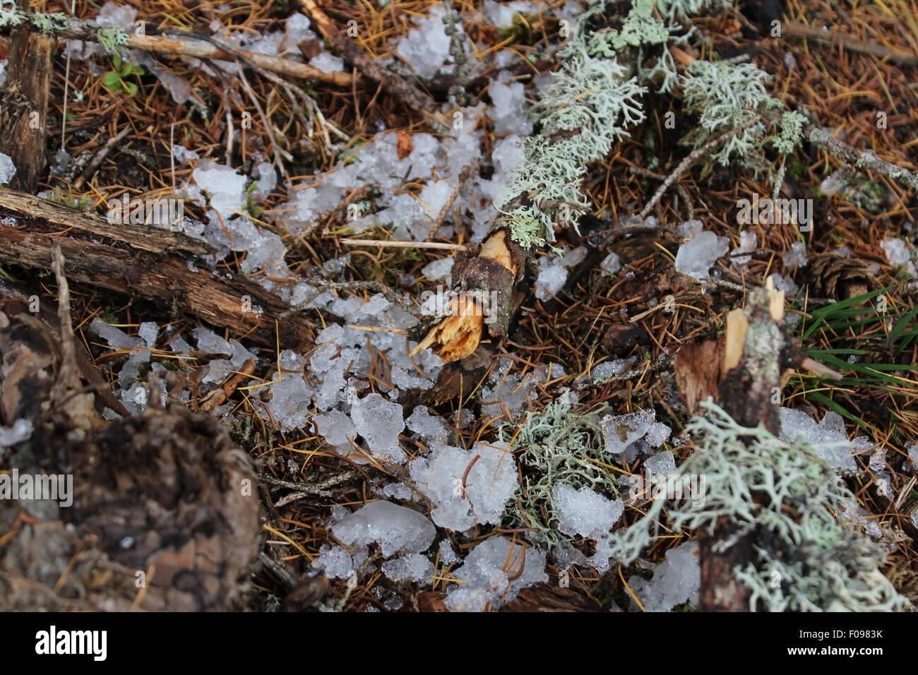 Ice floor hi-res stock photography and images - Alamy