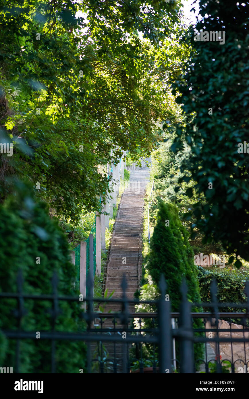 very long, stone staircase. Around tree Stock Photo - Alamy