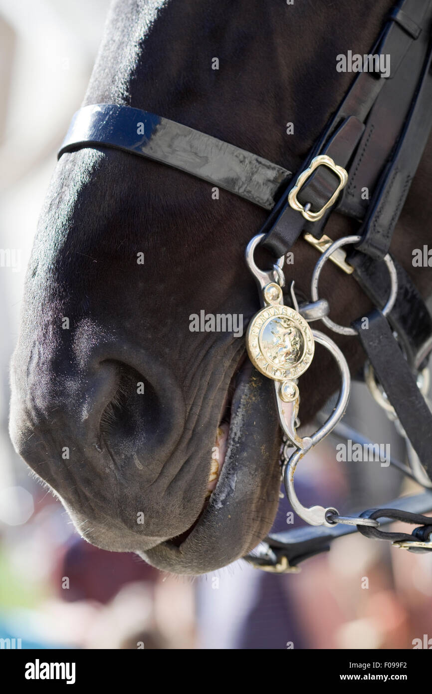 Nickel operations hi-res stock photography and images - Alamy