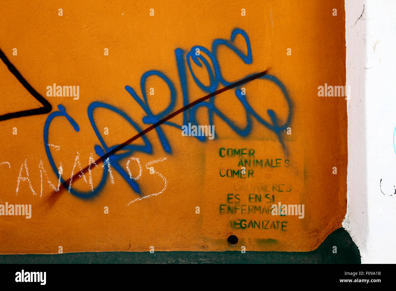 Word vegan painted in hi-res stock photography and images - Alamy