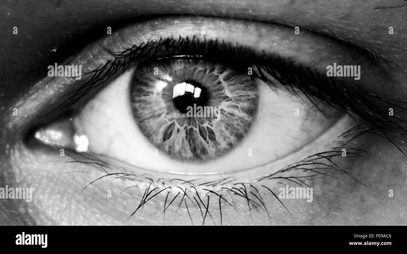 Eye socket hi-res stock photography and images - Alamy