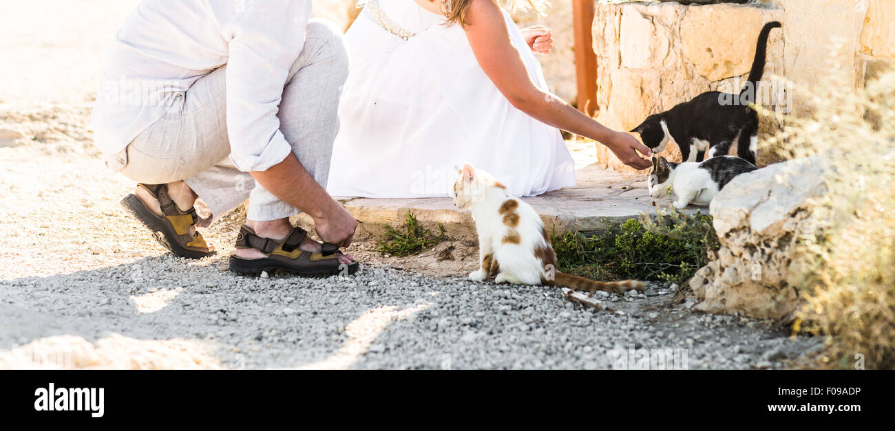 man and woman feeding cats in a park Stock Photo - Alamy