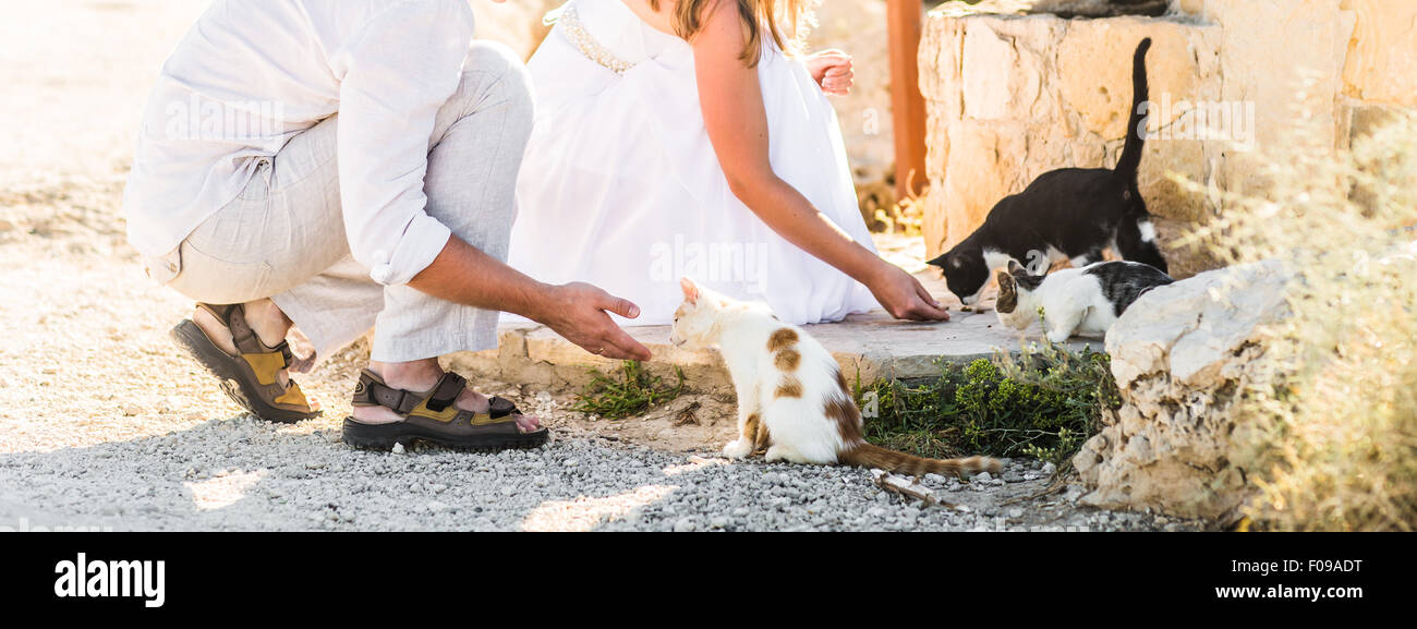 man and woman feeding cats in a park Stock Photo - Alamy