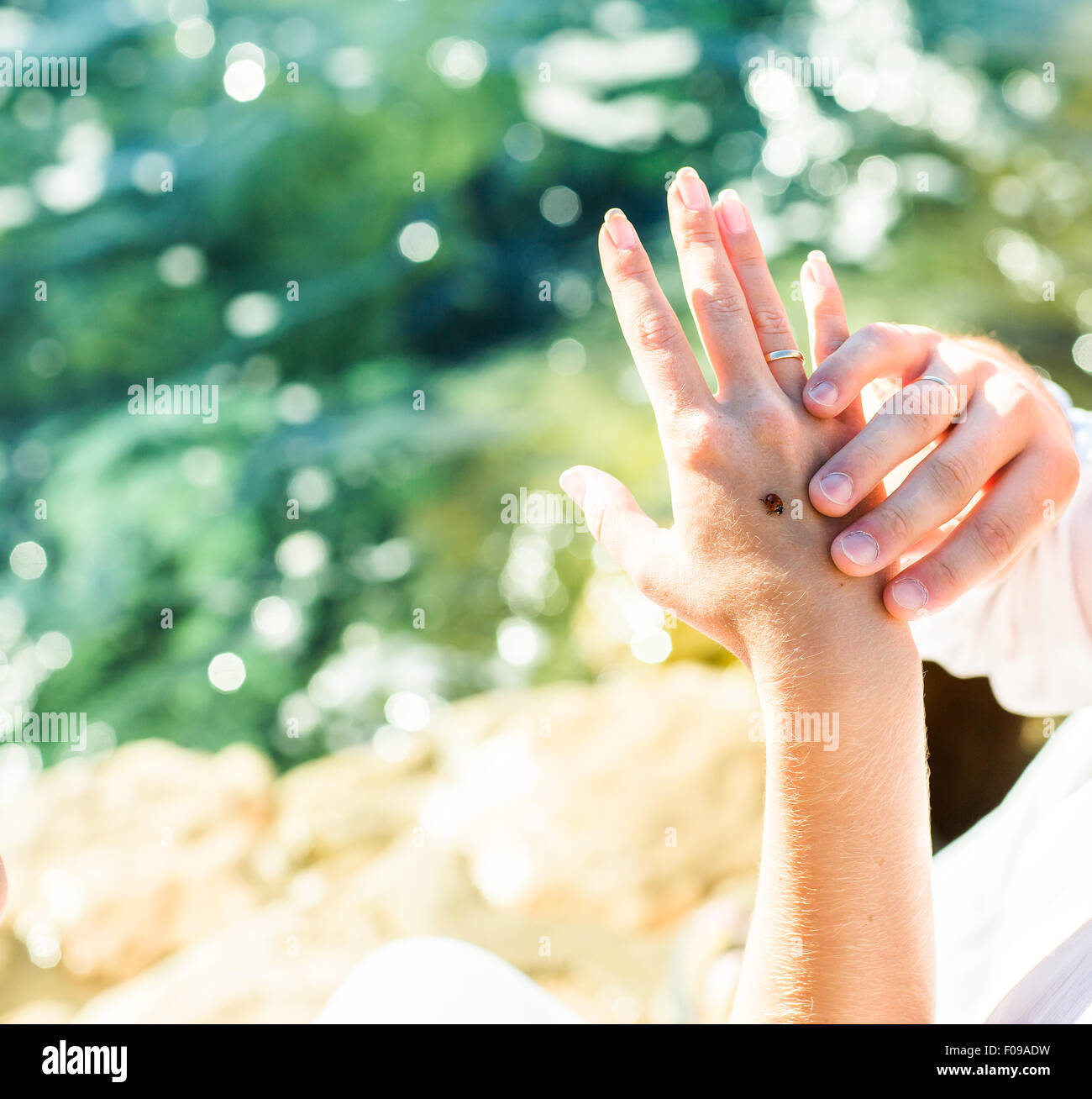 ladybug on male and female hands Stock Photo - Alamy