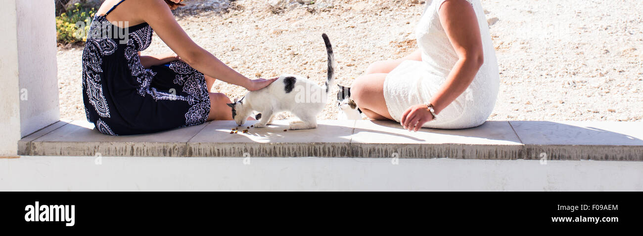 man and woman feeding cats in a park Stock Photo - Alamy