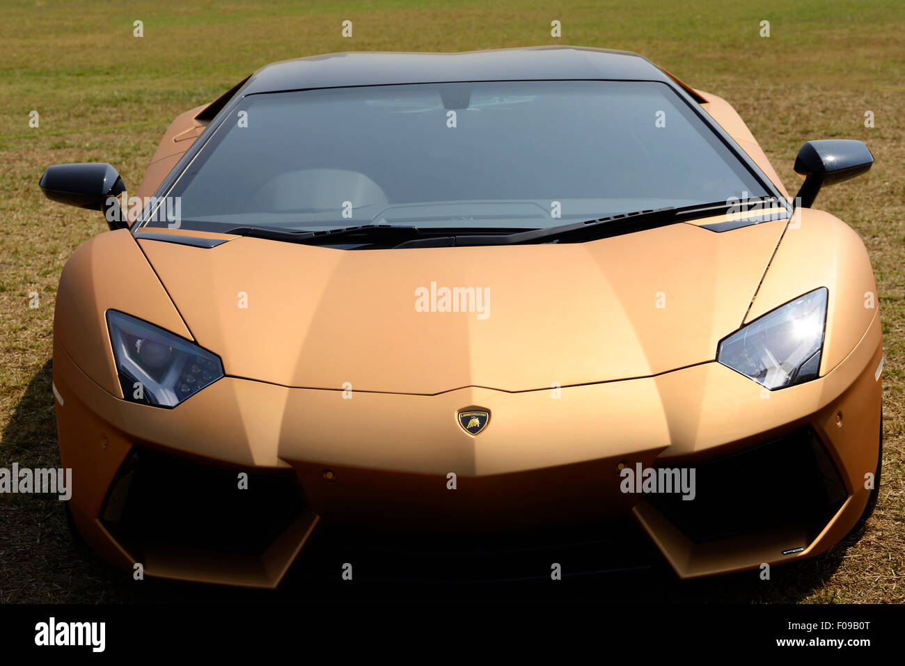 Gold Plated Lamborghini Aventador Lp700 4