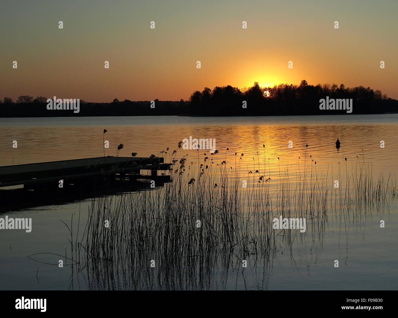 Summer sunset on a lake Stock Photo - Alamy