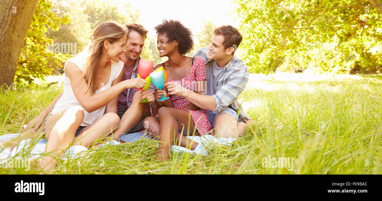 Four friends relax together drinking in the countryside Stock Photo - Alamy