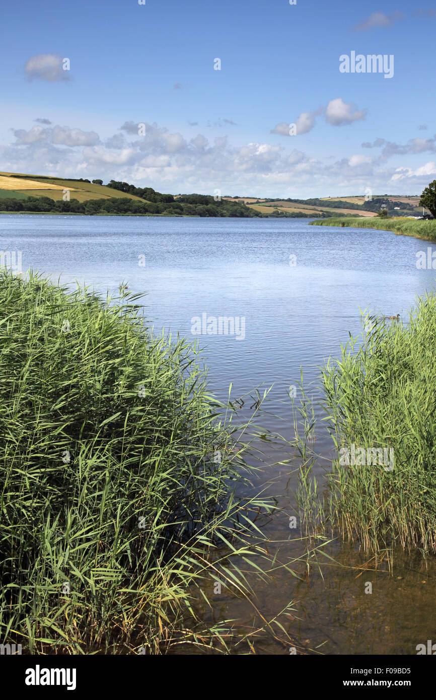 Slapton Ley Devon Coastline High Resolution Stock Photography and ...