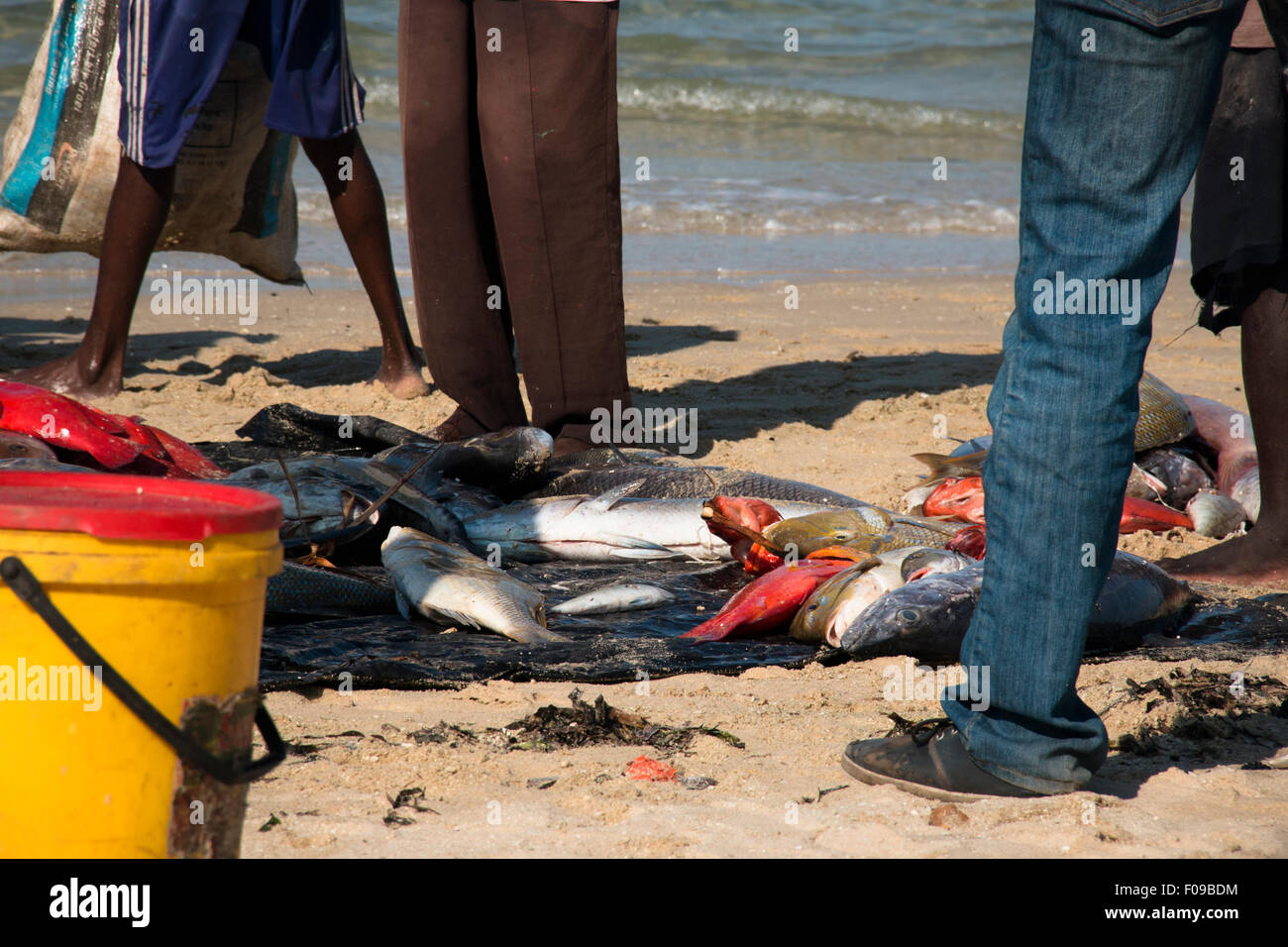 Fishermen gathered around fishing boat hi-res stock photography and ...