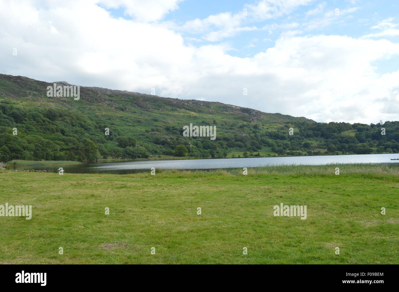 beautiful green landscape Stock Photo - Alamy