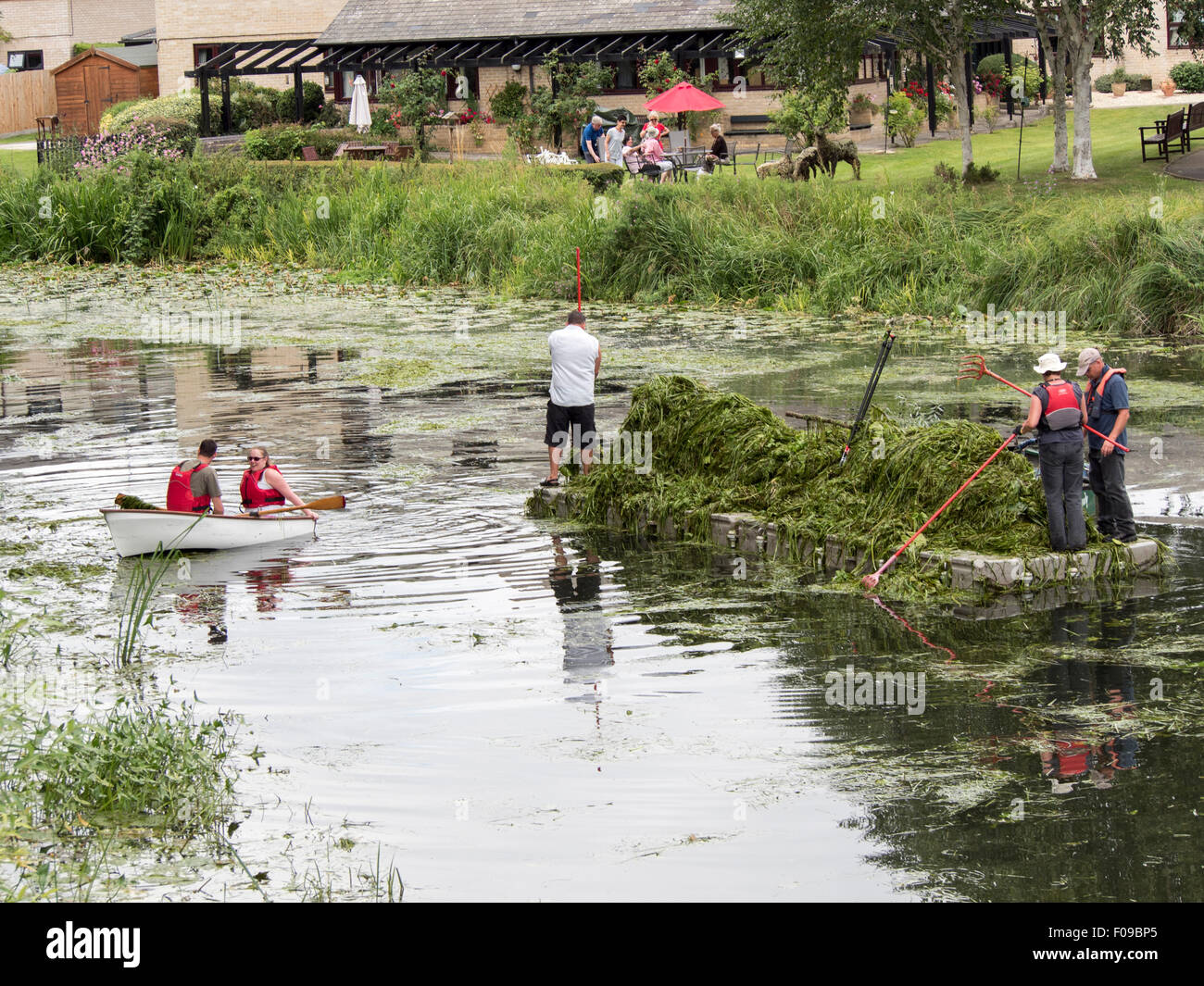 River clearing hi-res stock photography and images - Alamy