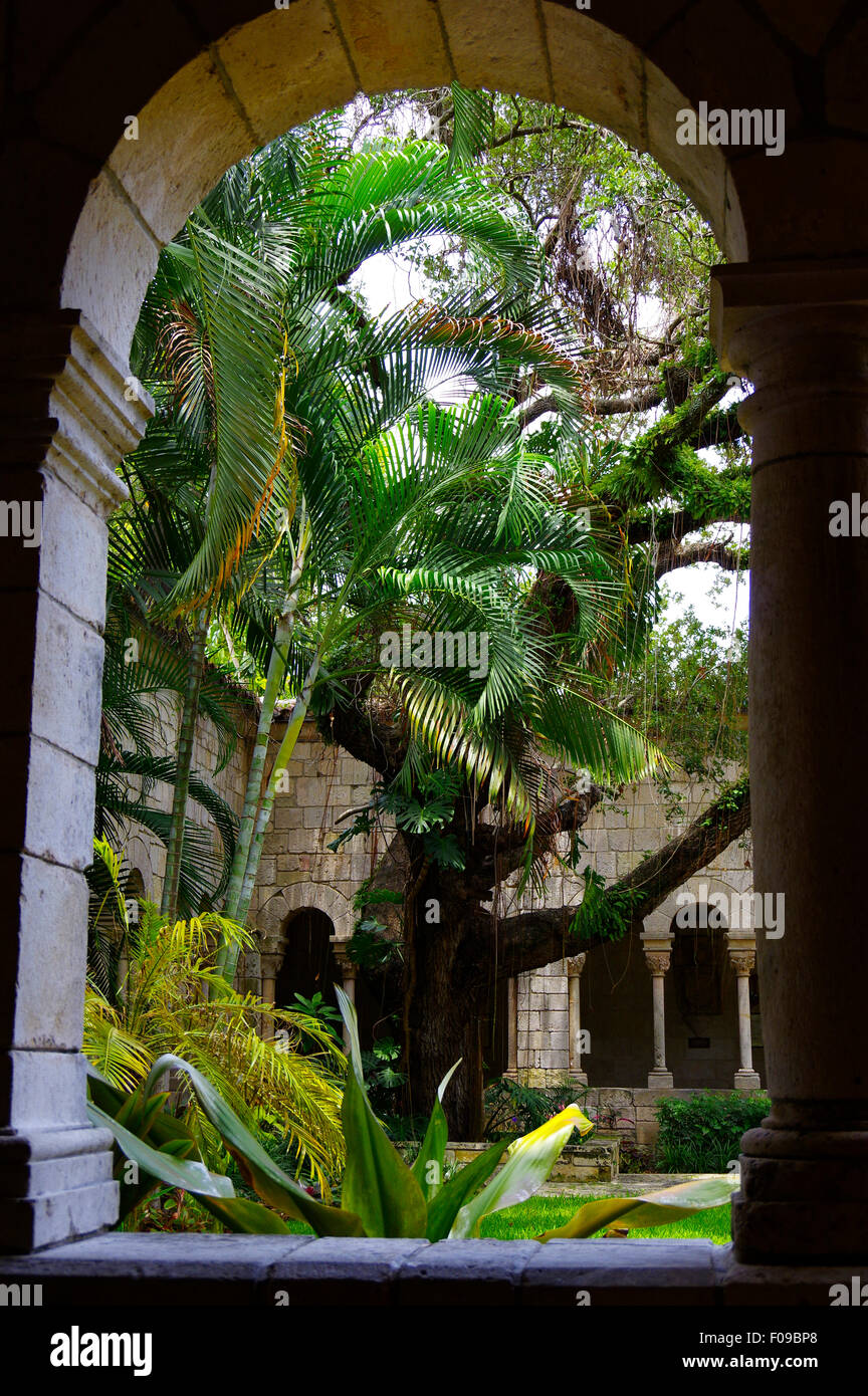 Old oak tree in atrioum of St. Bernard de Clairvaux monastery in North ...