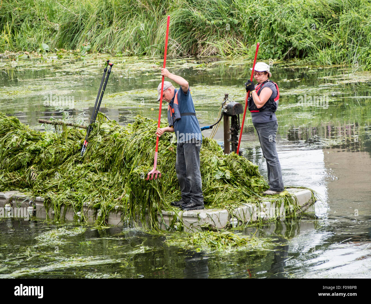 River weeds uk hi-res stock photography and images - Alamy