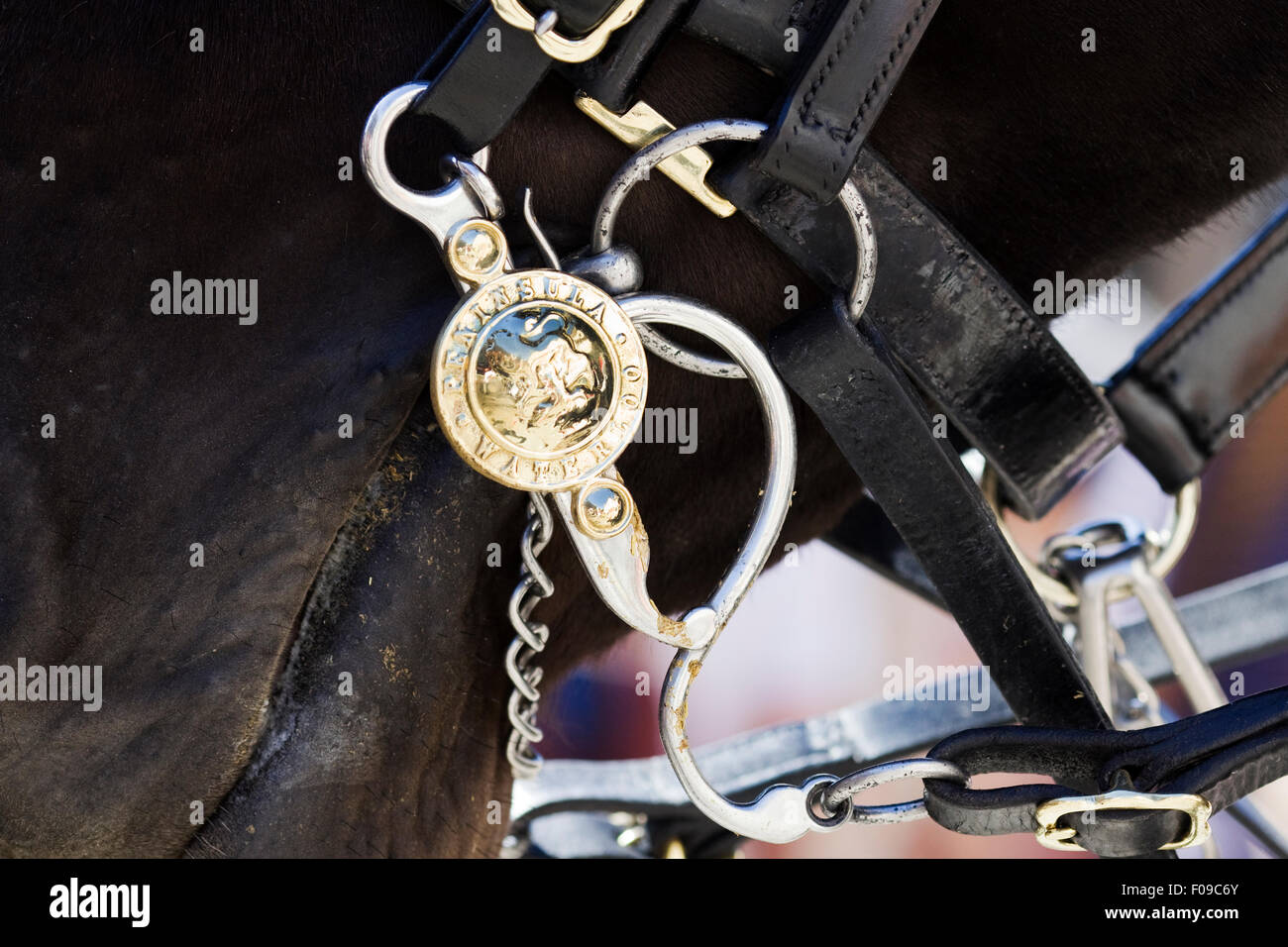 bit with the Brass Bosses of Regimental pattern and lip chain Stock ...