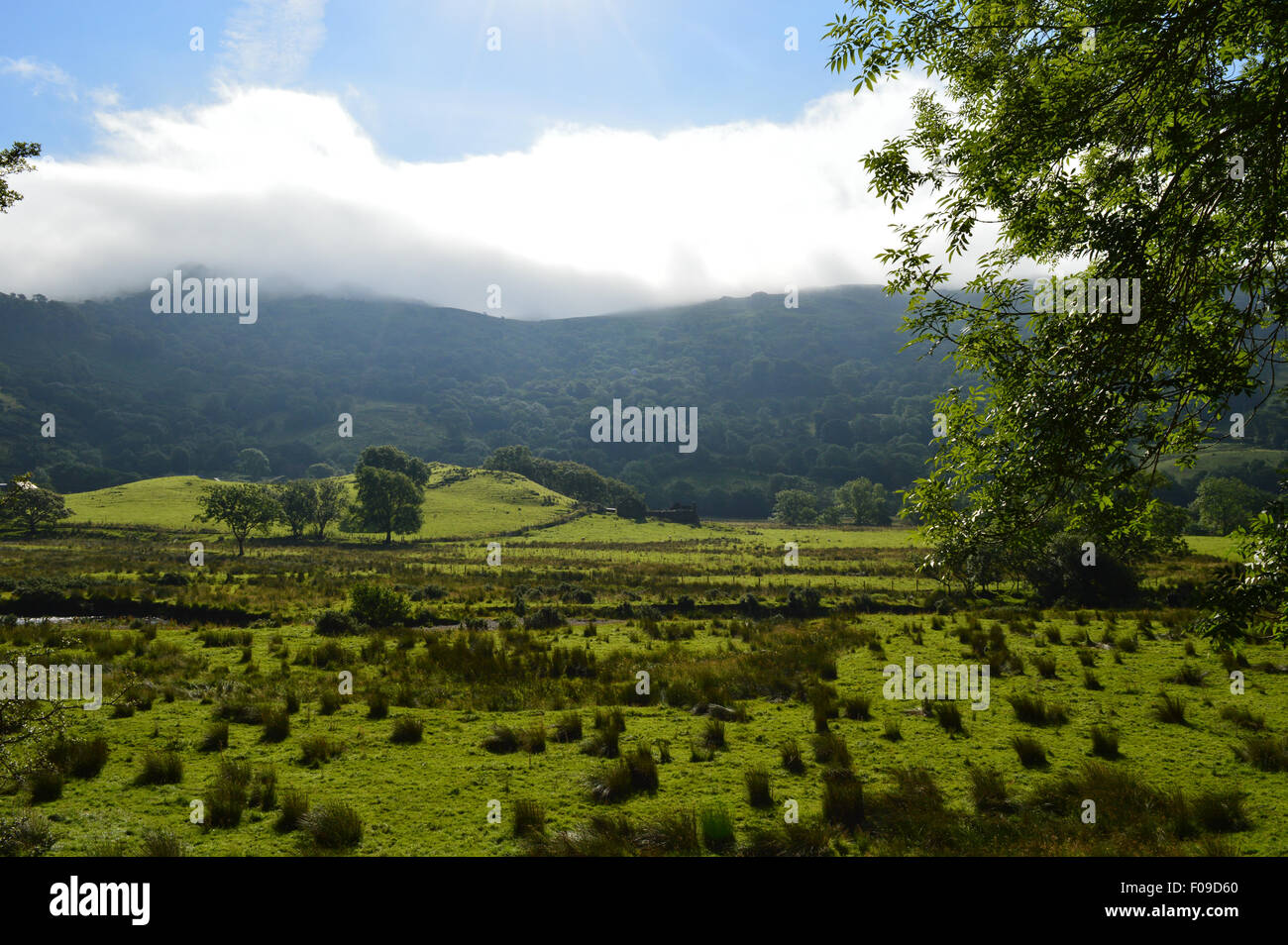 beautiful green landscape Stock Photo - Alamy