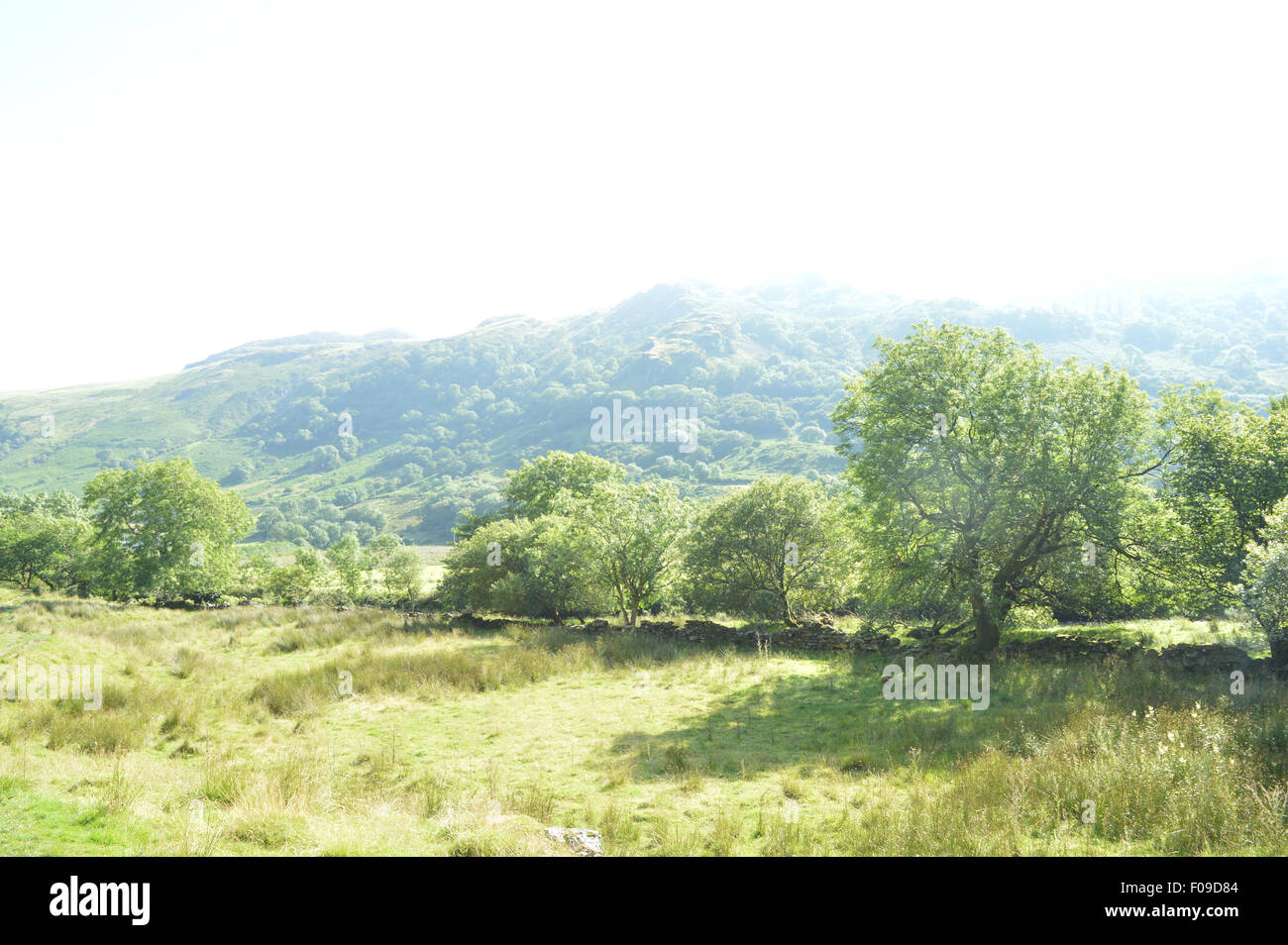 beautiful green landscape Stock Photo - Alamy