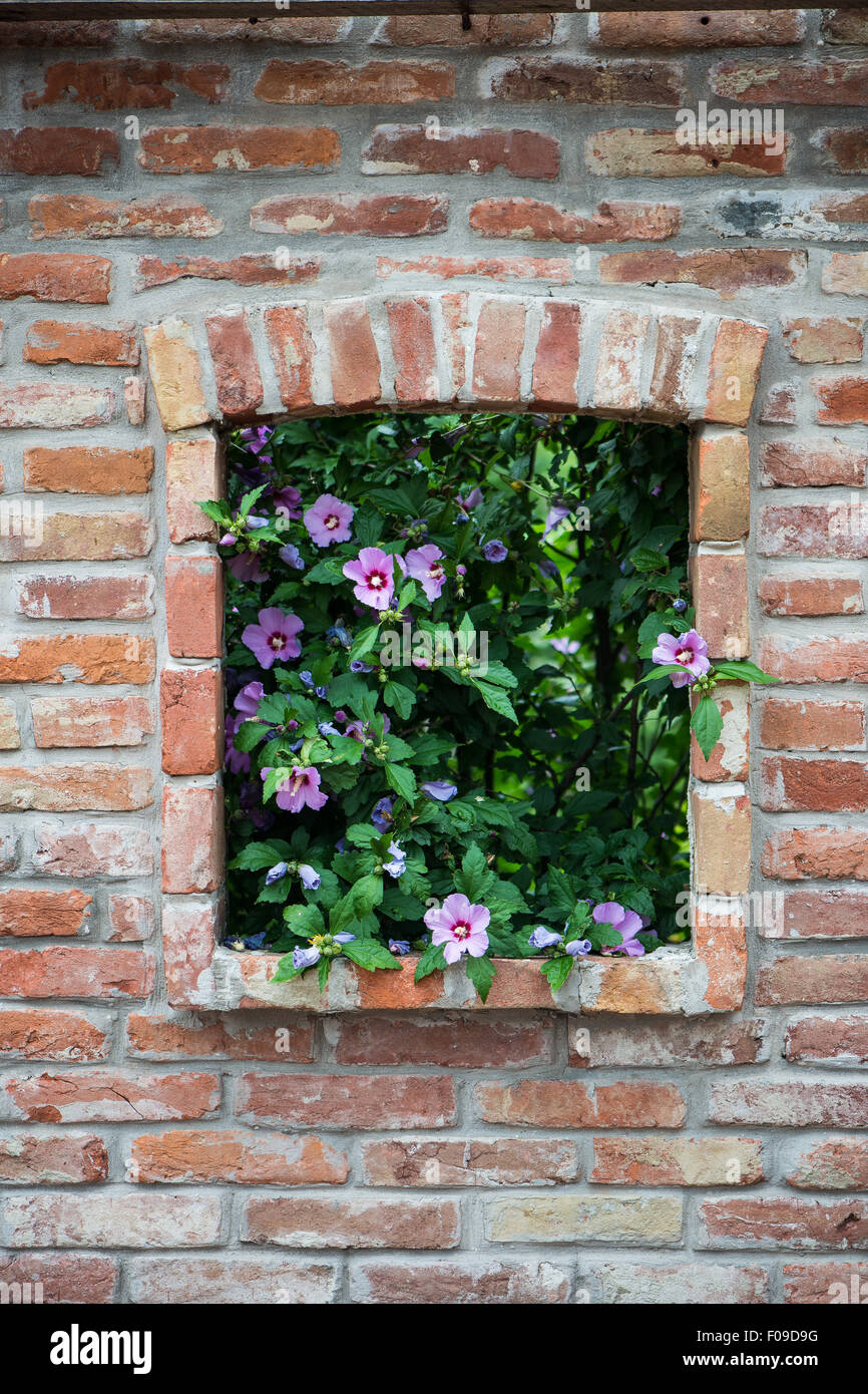 Brick wall window hi-res stock photography and images - Alamy