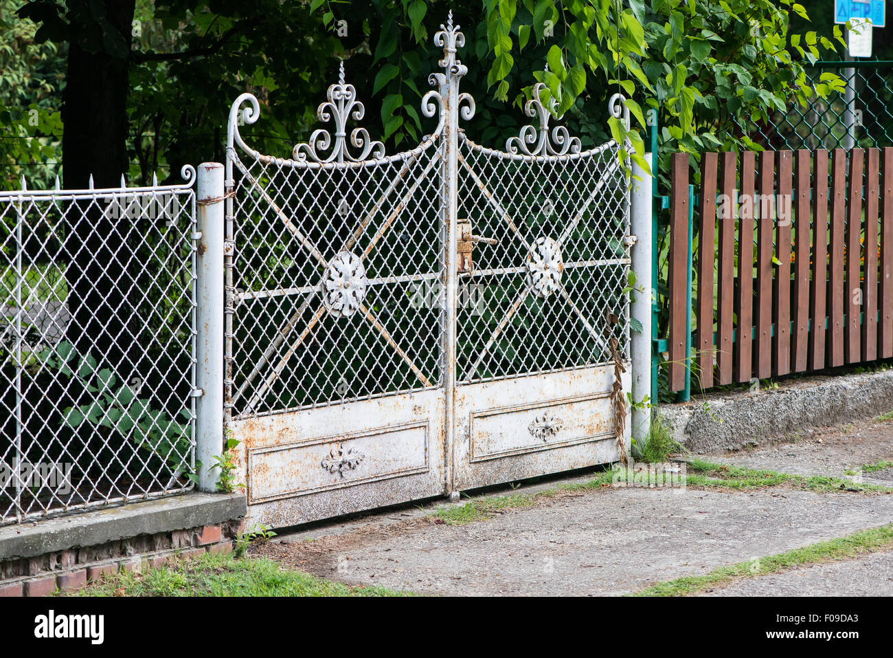 old iron gate with ornaments Stock Photo - Alamy