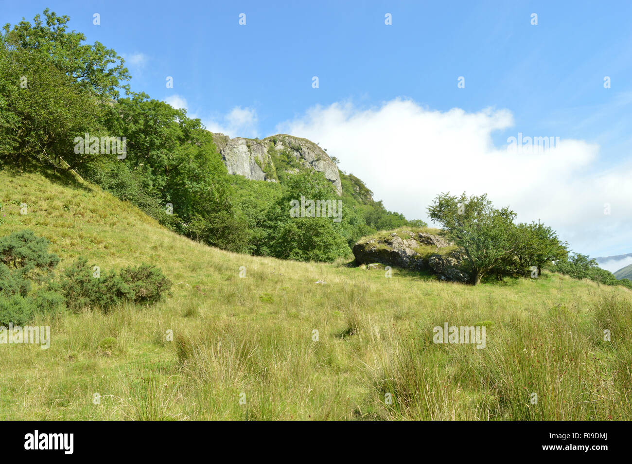 beautiful green landscape Stock Photo - Alamy