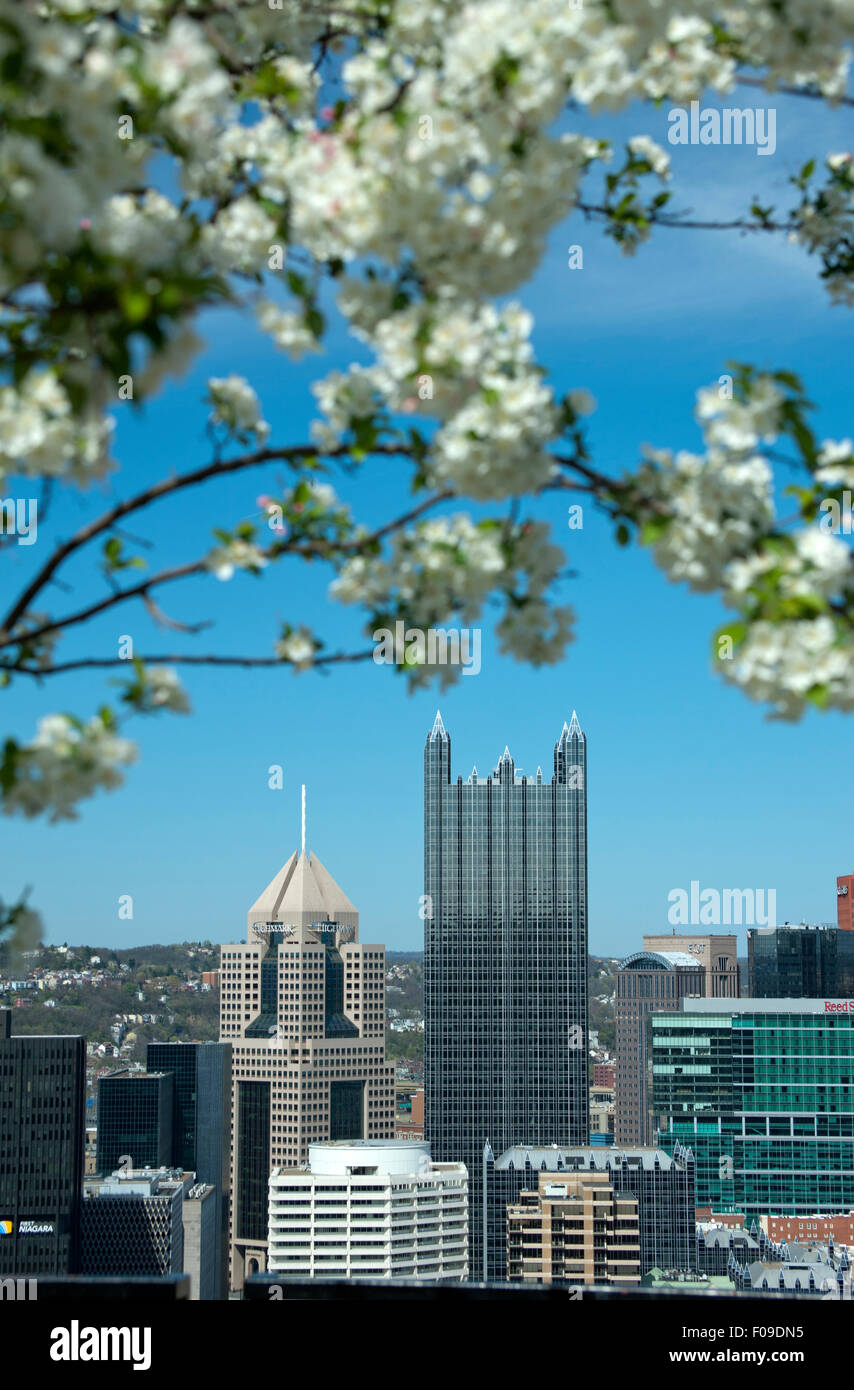 SPRINGTIME BLOSSOMS DOWNTOWN SKYLINE FROM MOUNT WASHINGTON OVERLOOK ...