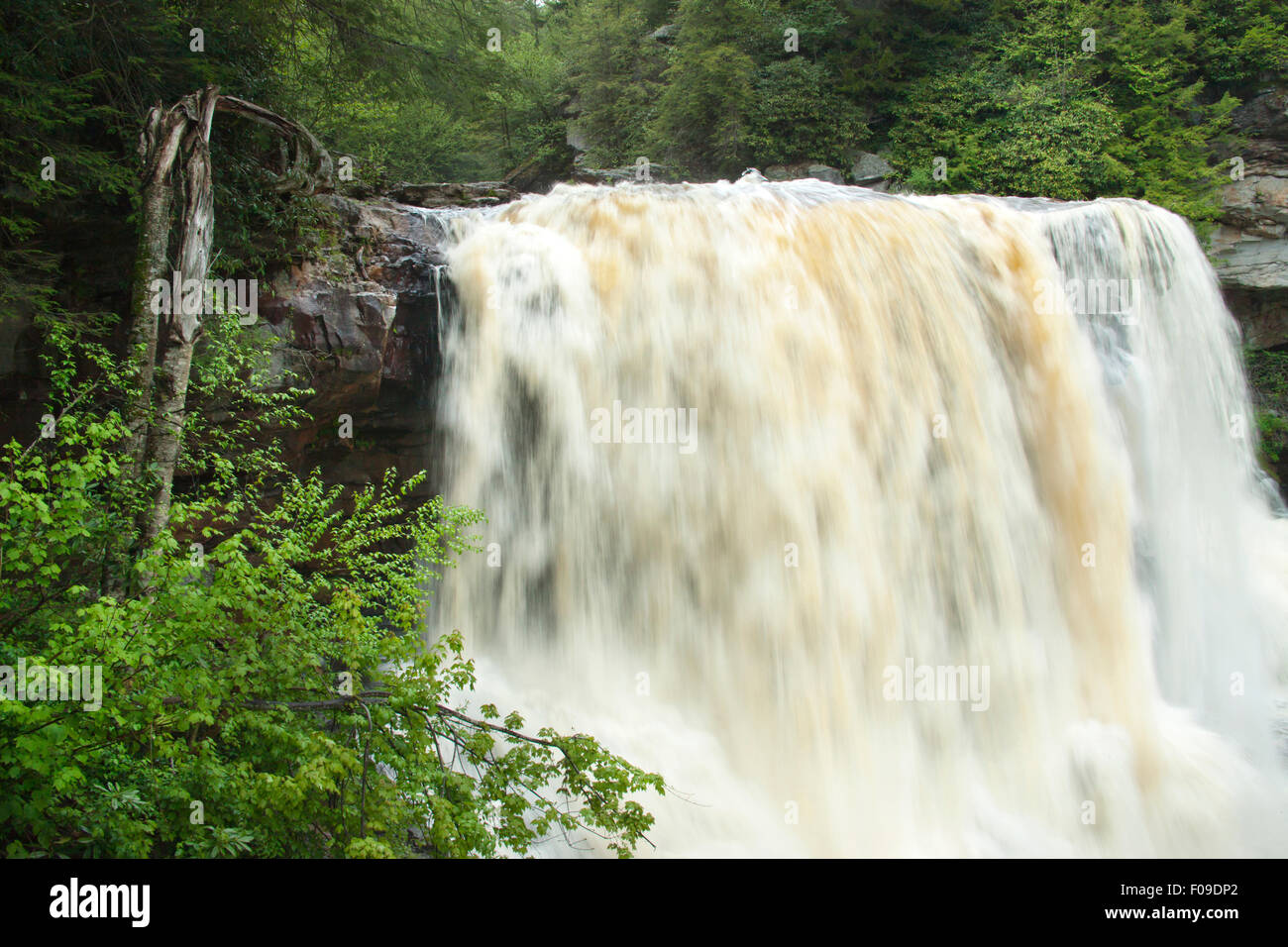MAIN WATERFALLS BLACKWATER FALLS STATE PARK WEST VIRGINIA USA Stock ...
