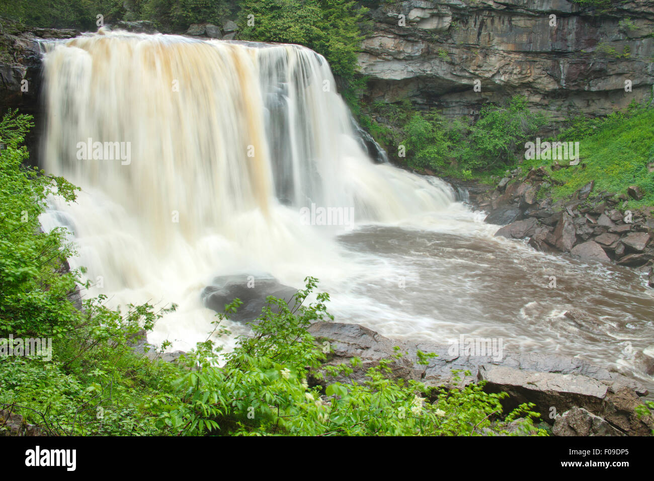 MAIN WATERFALLS BLACKWATER FALLS STATE PARK WEST VIRGINIA USA Stock ...