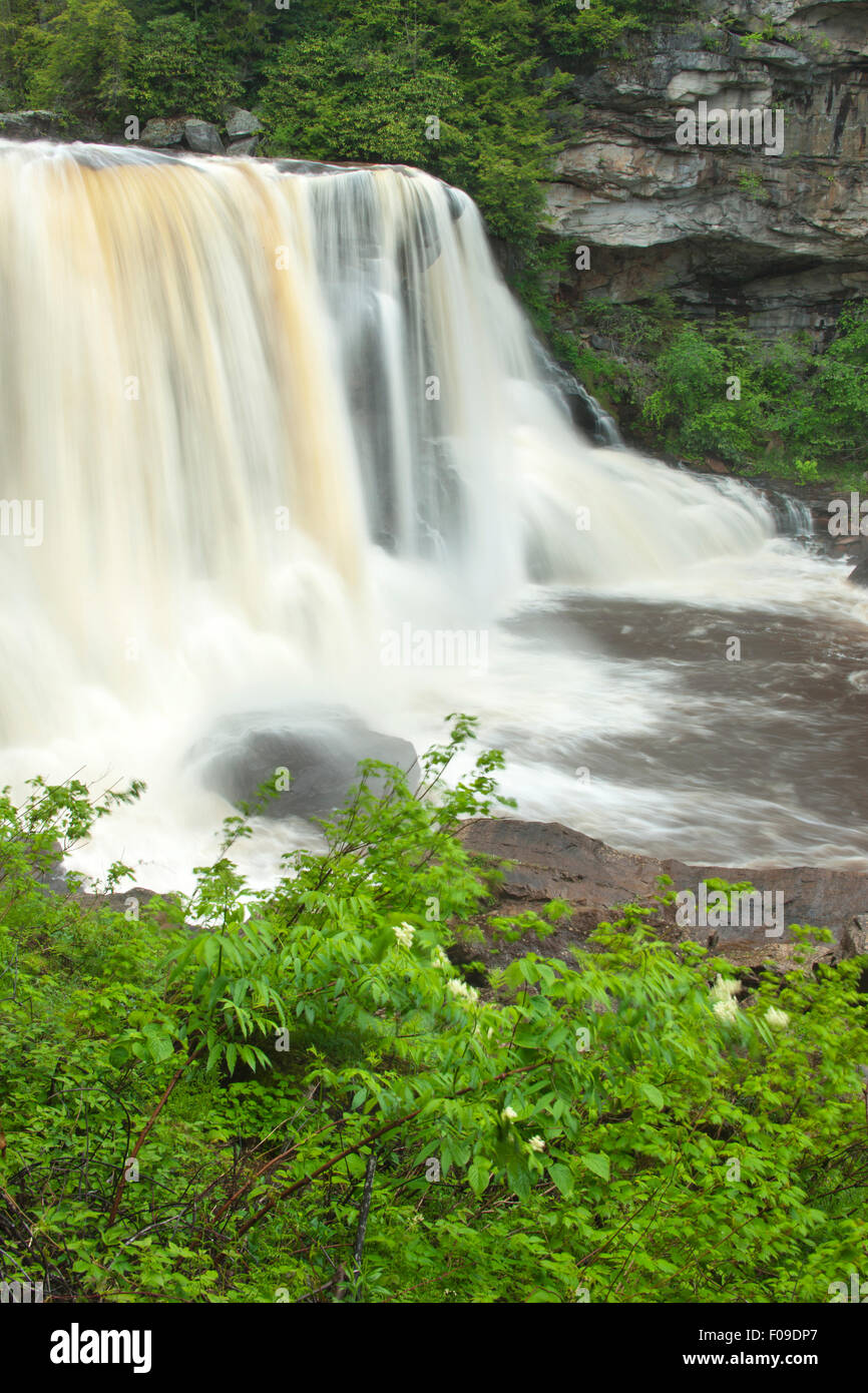 MAIN WATERFALLS BLACKWATER FALLS STATE PARK WEST VIRGINIA USA Stock ...