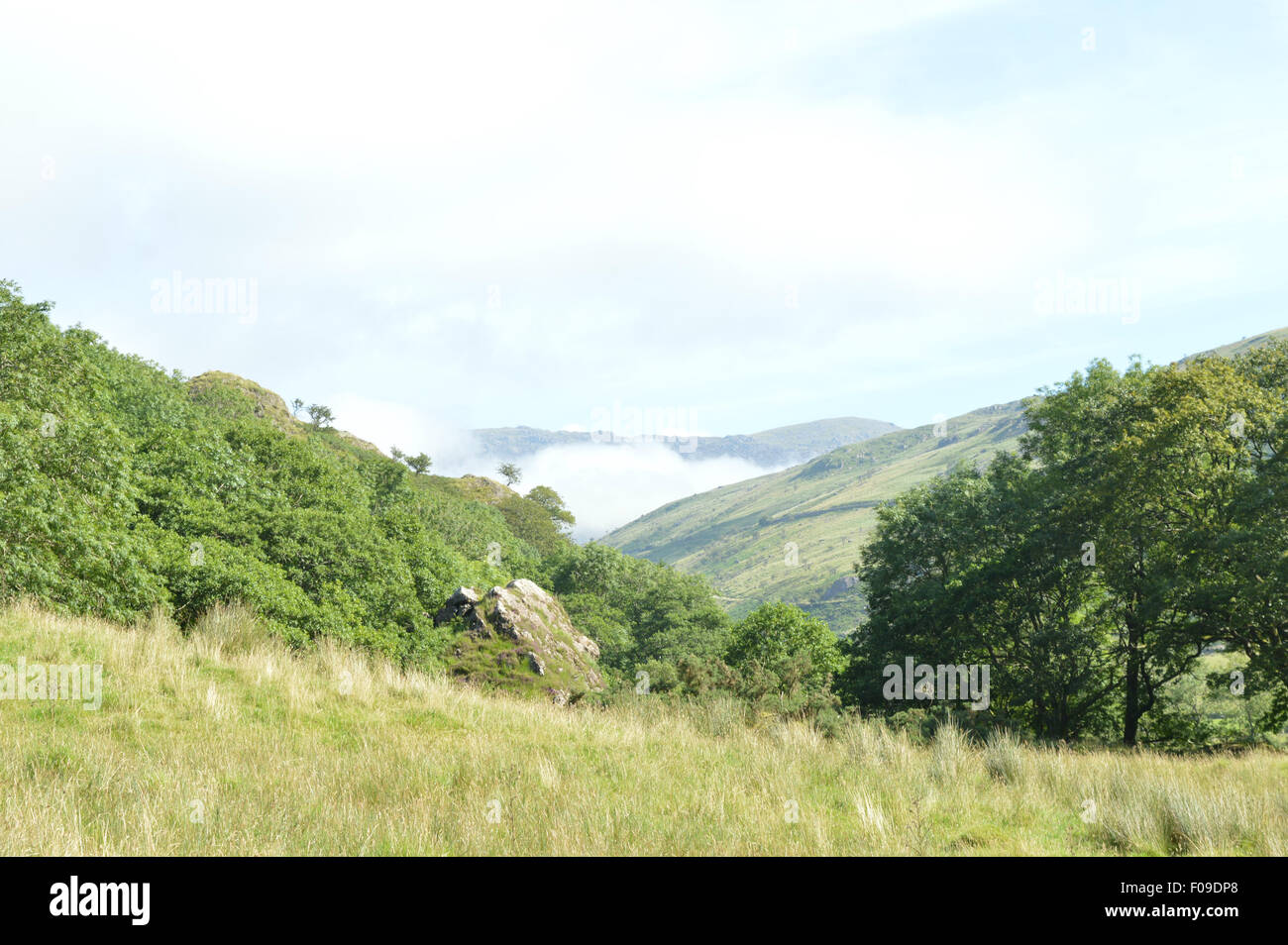 beautiful green landscape Stock Photo - Alamy
