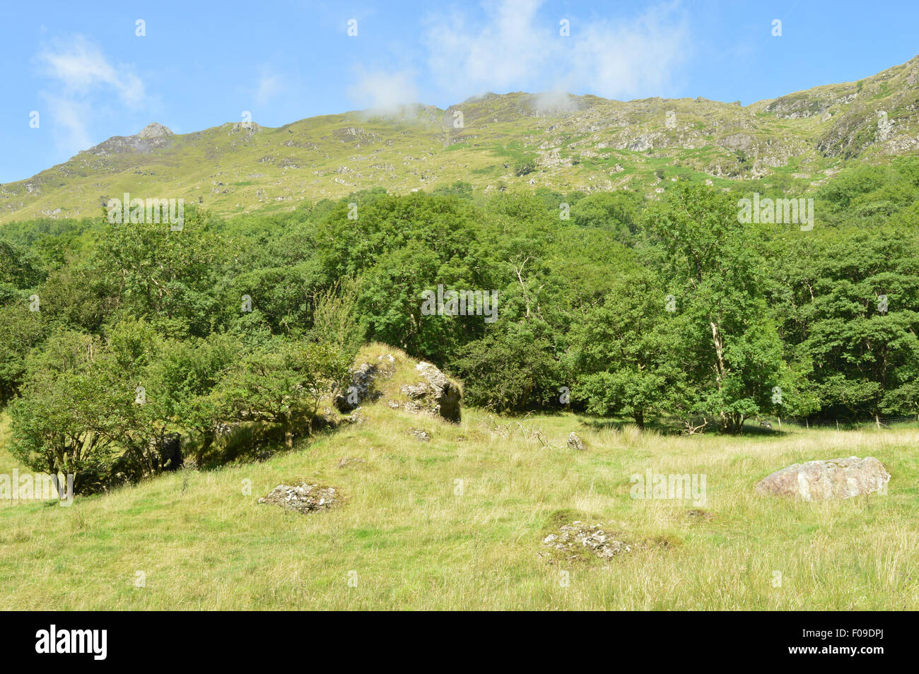 beautiful green landscape Stock Photo - Alamy