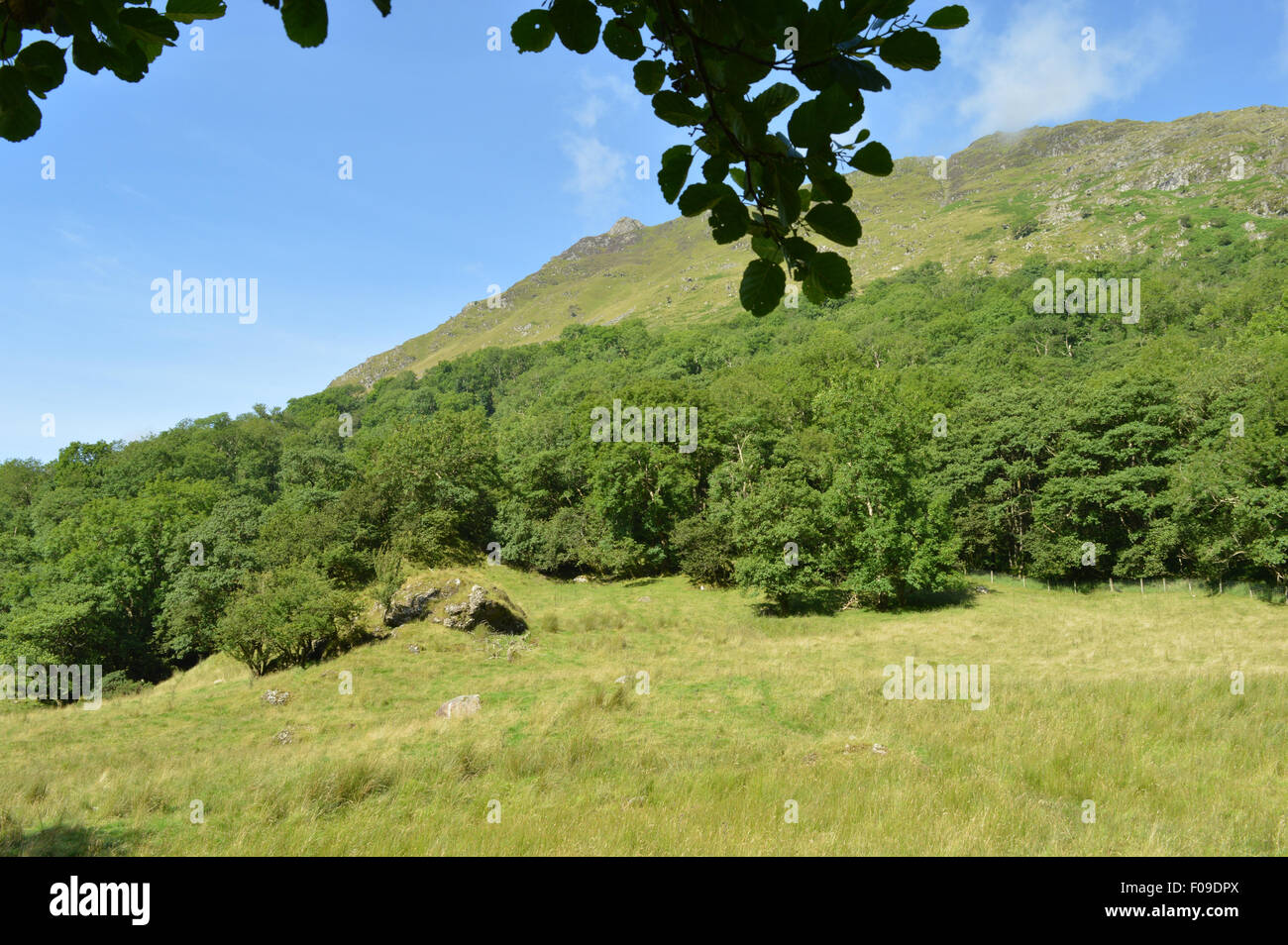 beautiful green landscape Stock Photo - Alamy