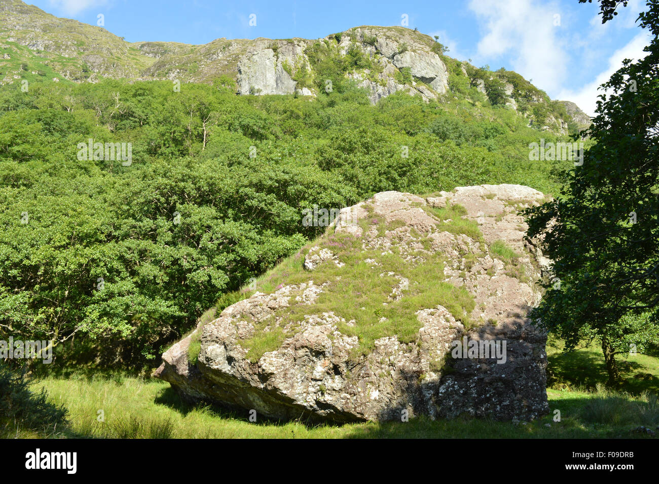 beautiful green landscape Stock Photo - Alamy