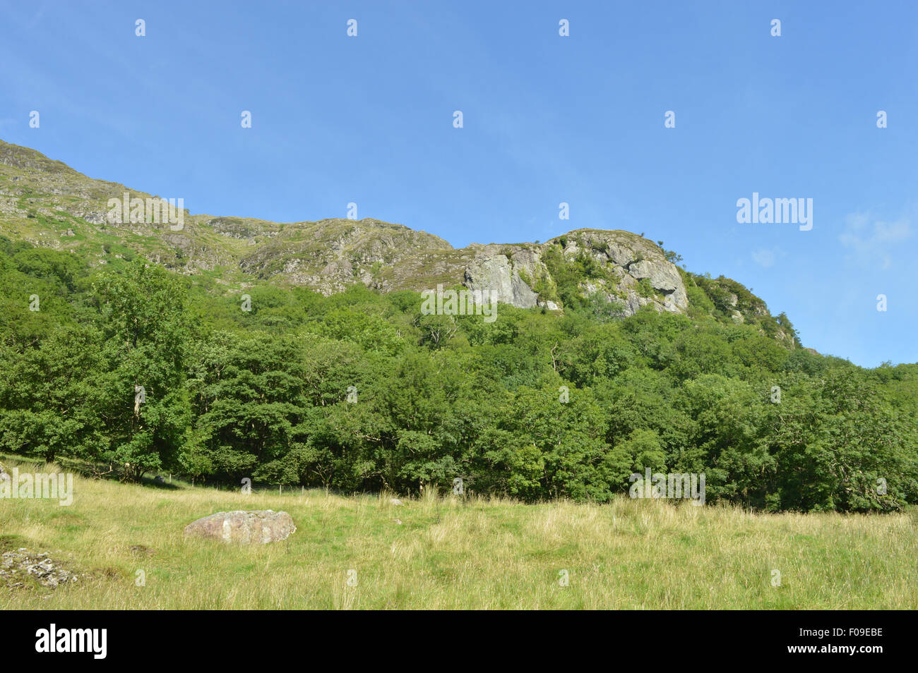 beautiful green landscape Stock Photo - Alamy