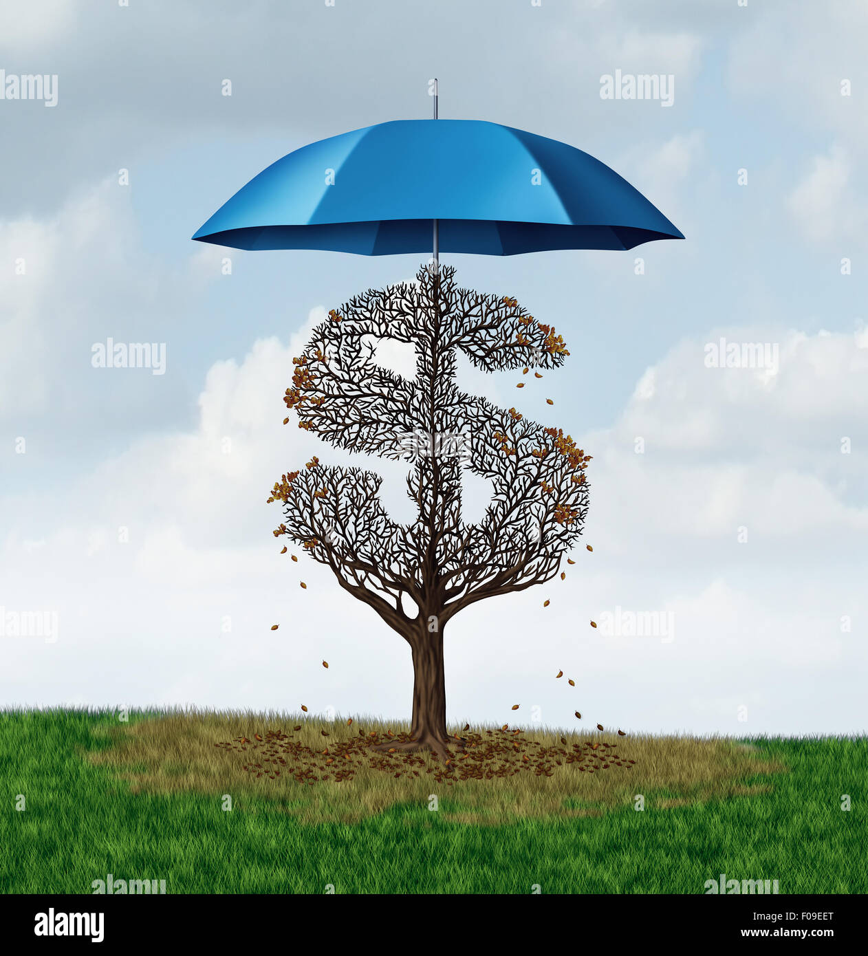 Money tree hi-res stock photography and images - Alamy