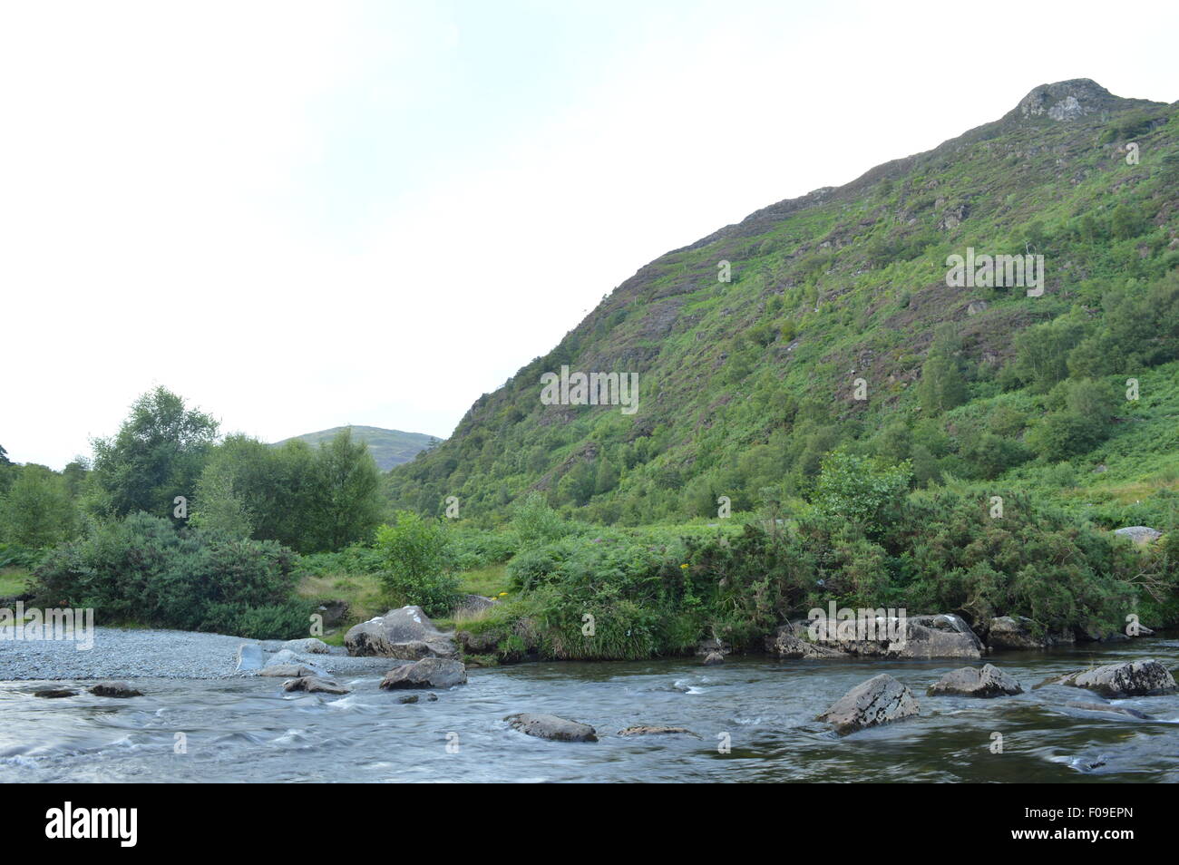 Amazing summer landscape forest river hi-res stock photography and ...